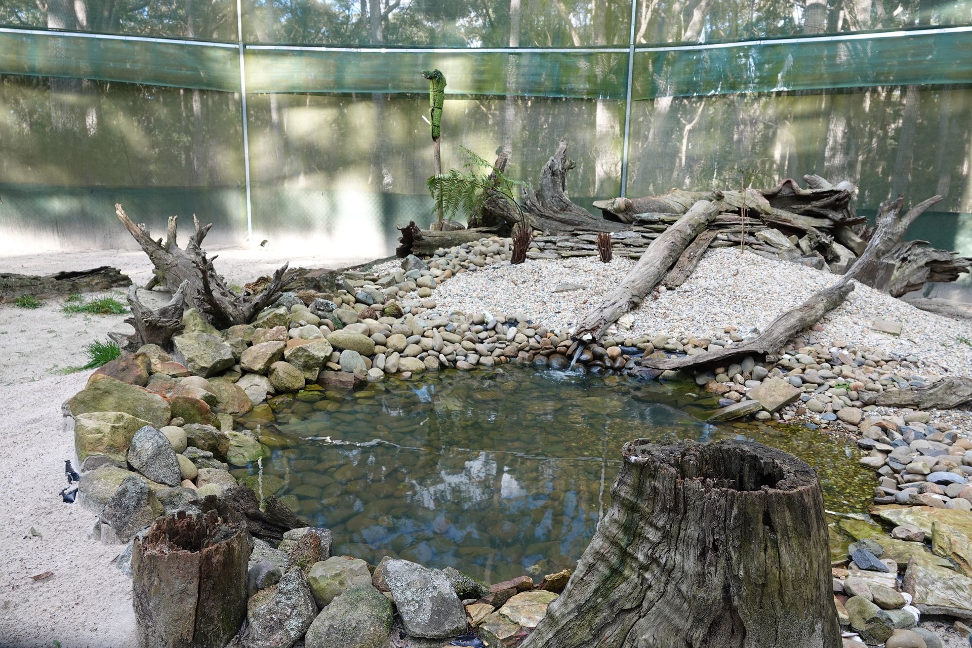 Aviary Design - Australian Raptor Care and Conservation Inc.