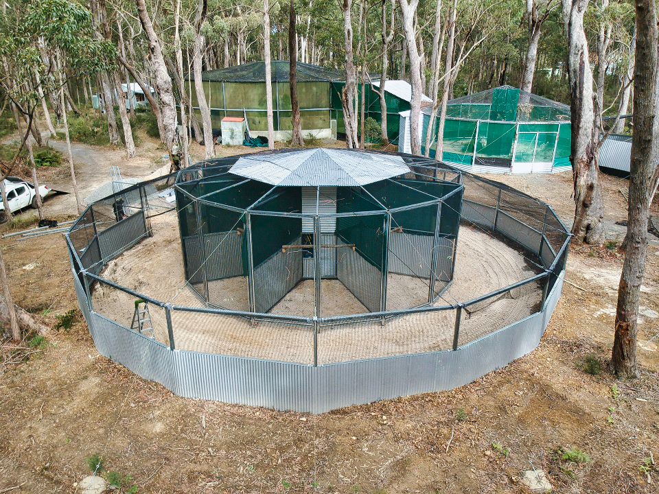 Aviary Design - Australian Raptor Care and Conservation Inc.