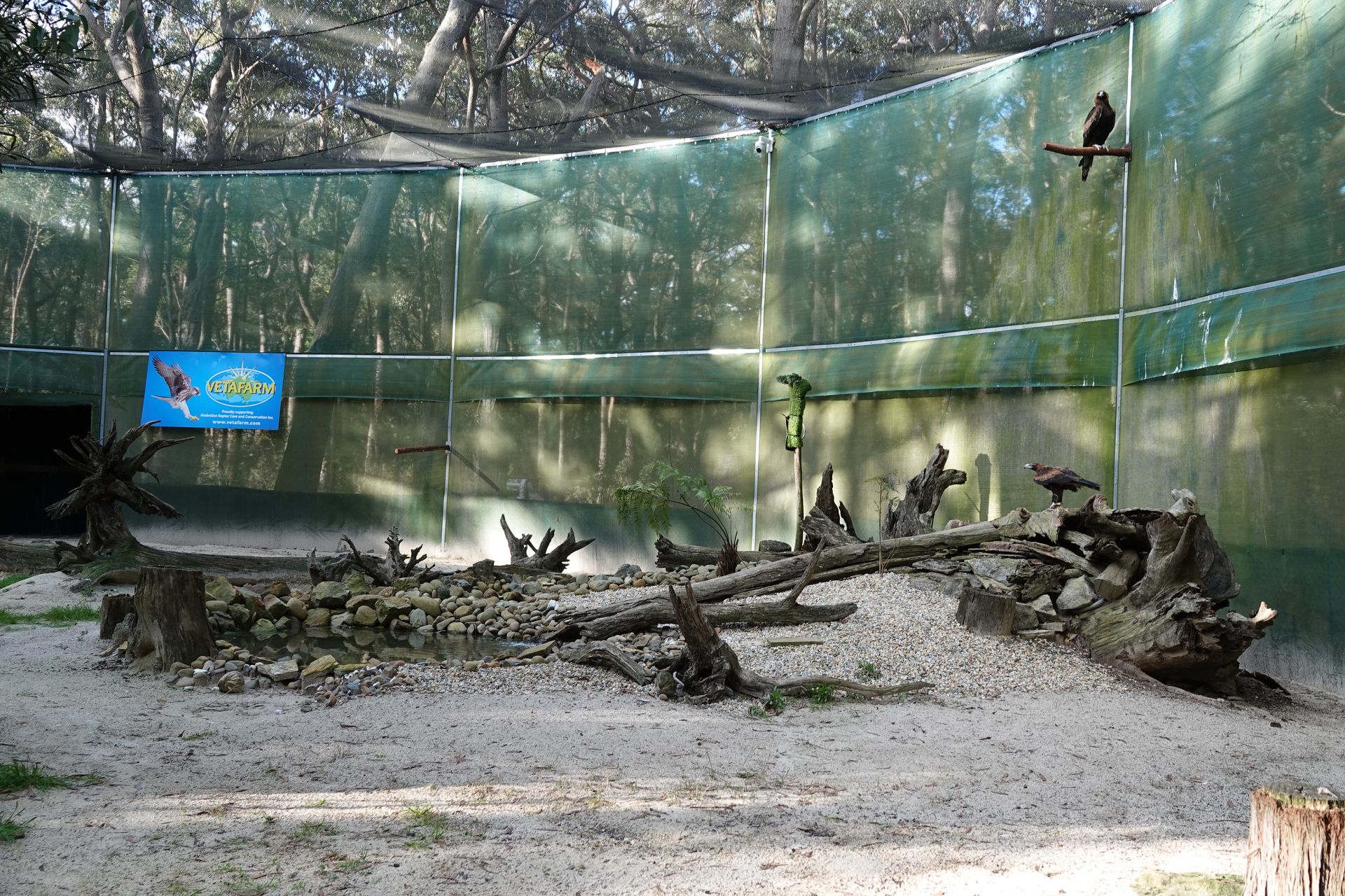 Aviary Design - Australian Raptor Care and Conservation Inc.