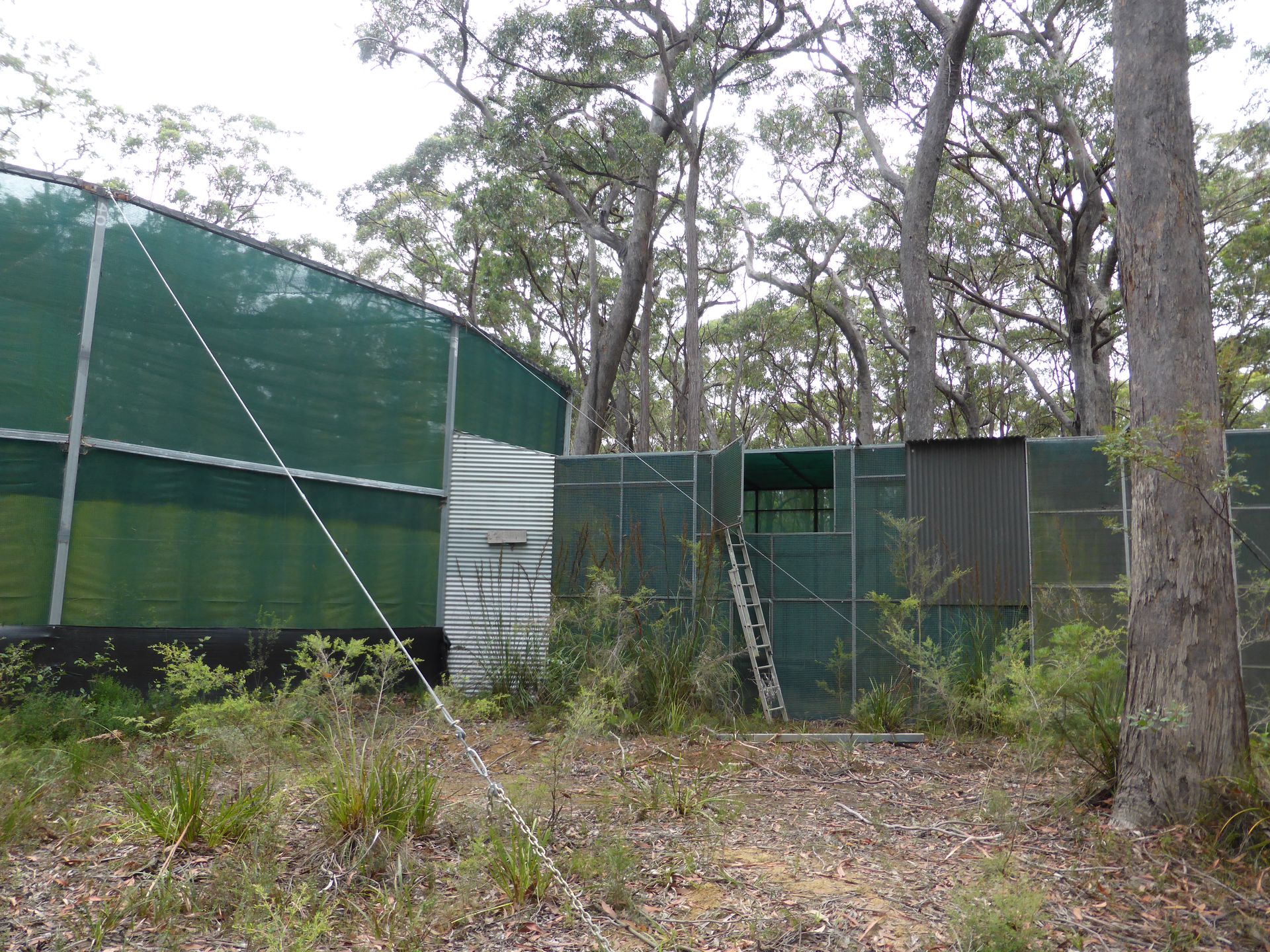 Aviary Design - Australian Raptor Care and Conservation Inc.