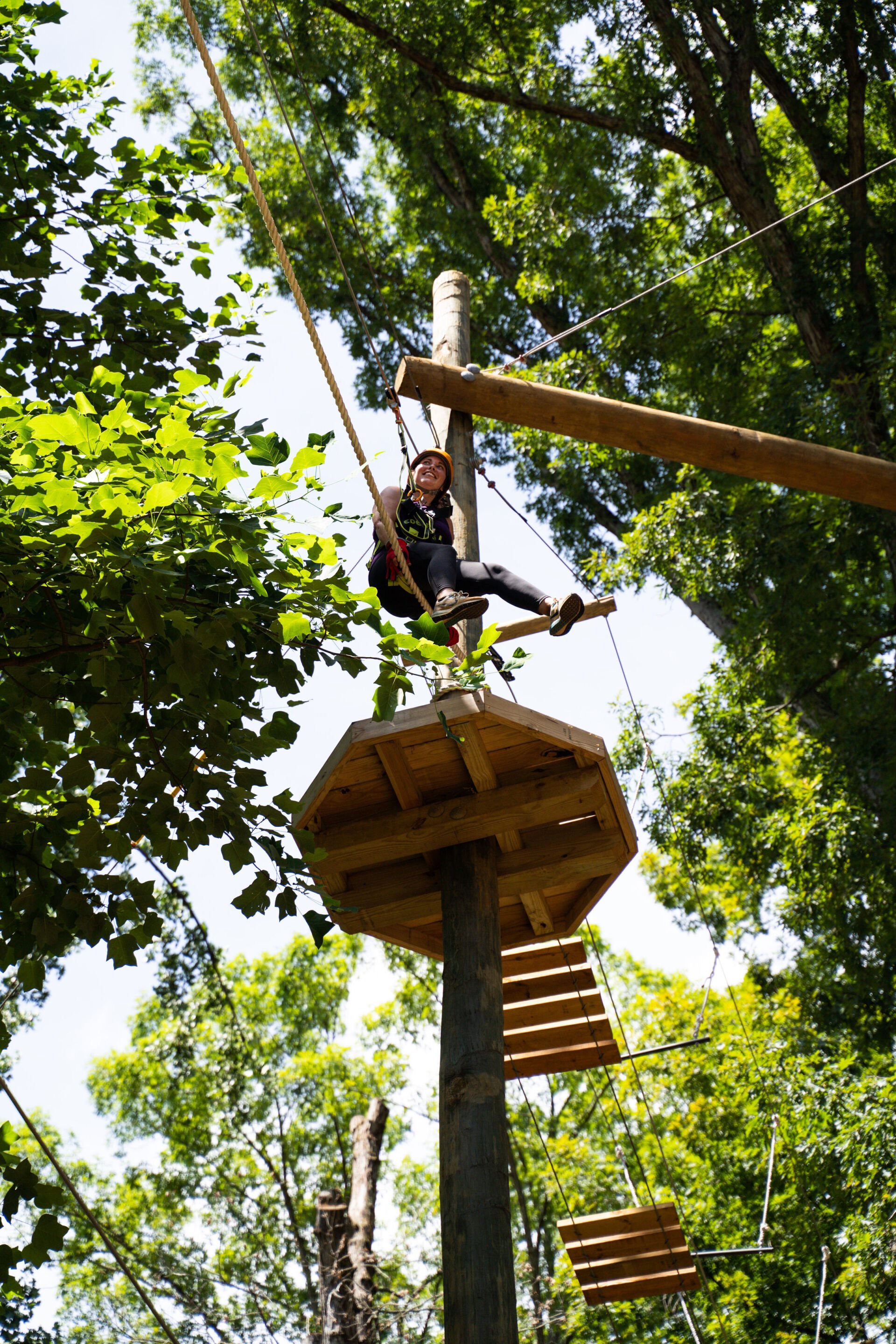 Flying Rabbit Adventures | Aerial Adventure Park | Book Now!