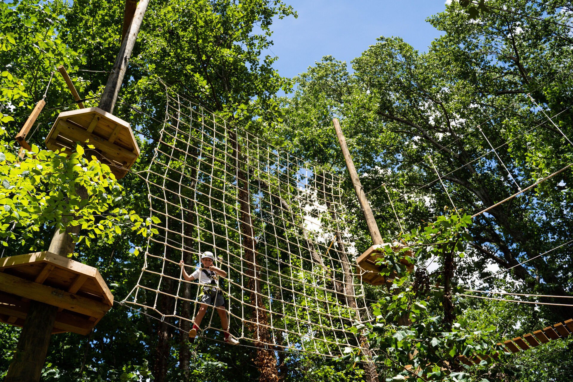 Flying Rabbit Adventures | Aerial Adventure Park | Book Now!