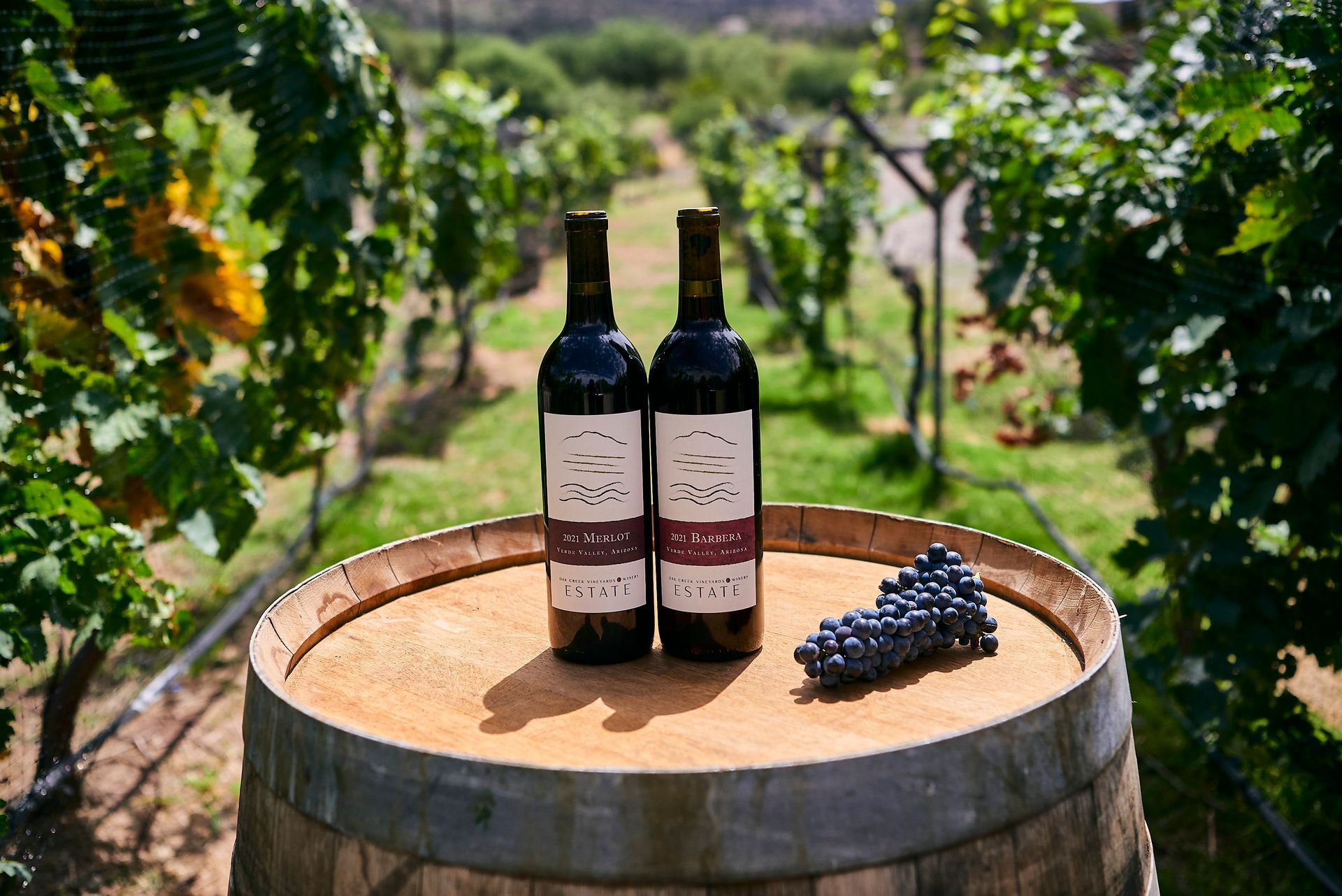 Artisanal Wines & Food Pairings | Oak Creek Vineyards & Winery | Cornville, AZ