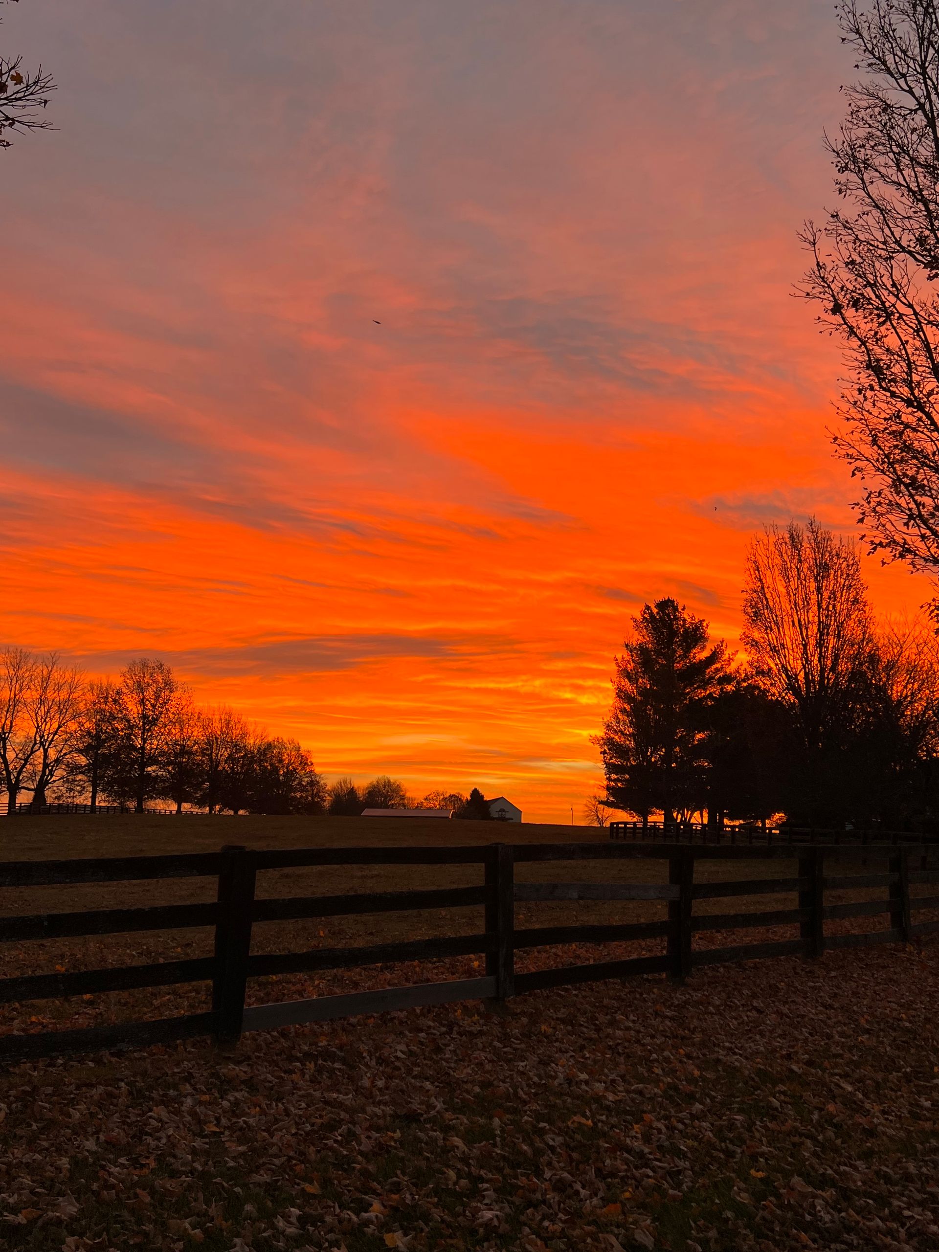 Cane Run Farm Gallery