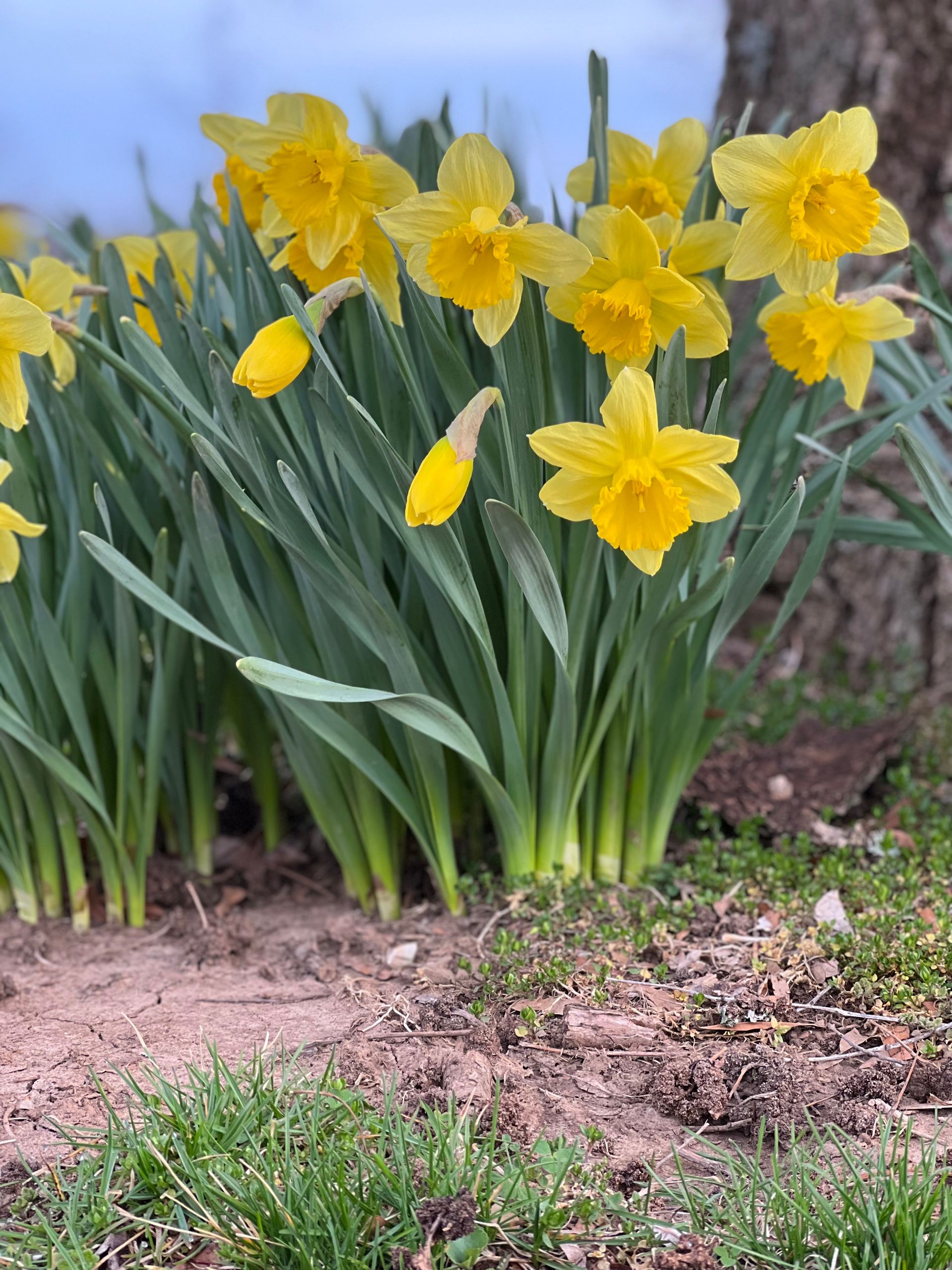 Cane Run Farm Gallery
