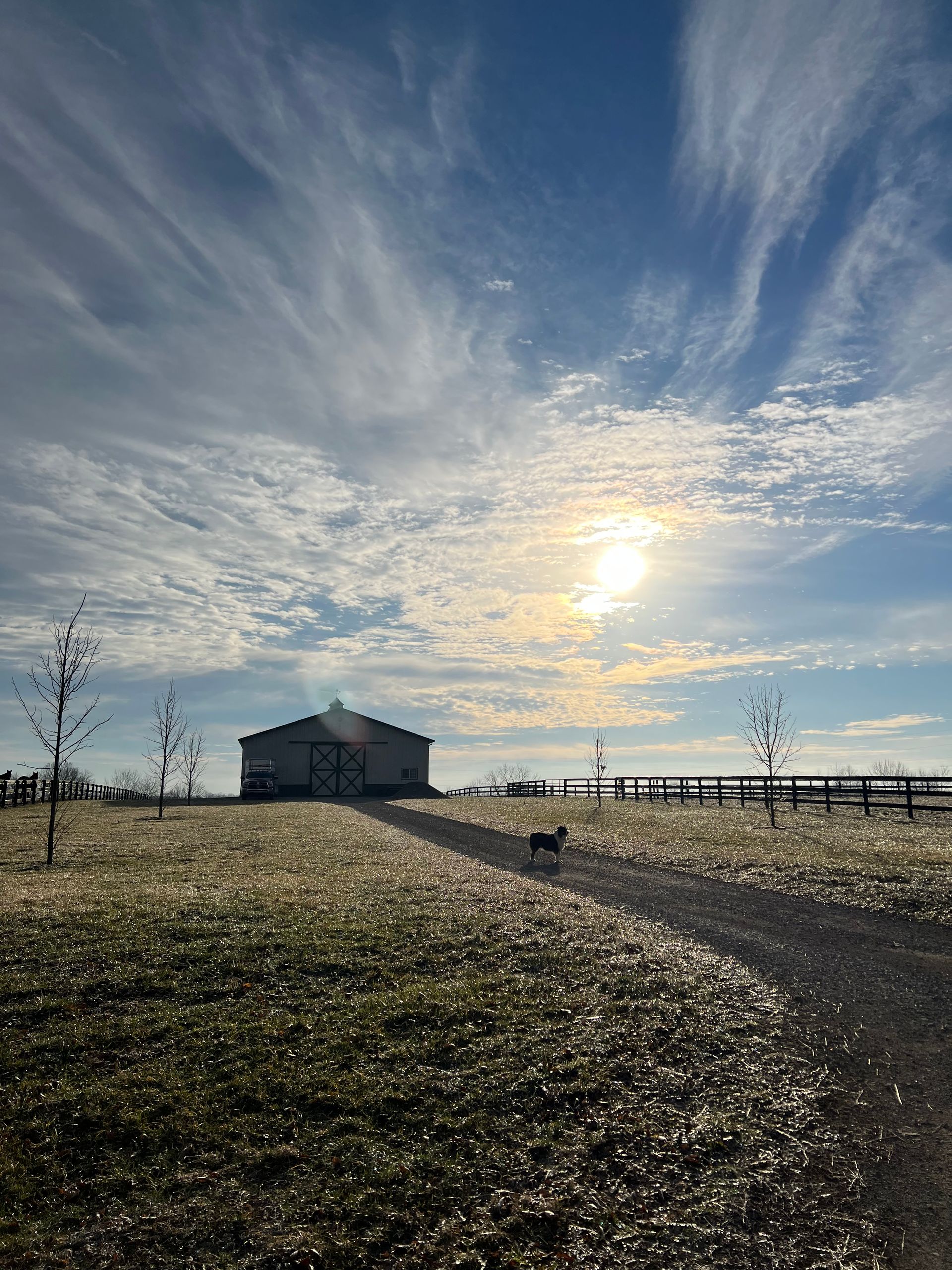 Cane Run Farm Gallery