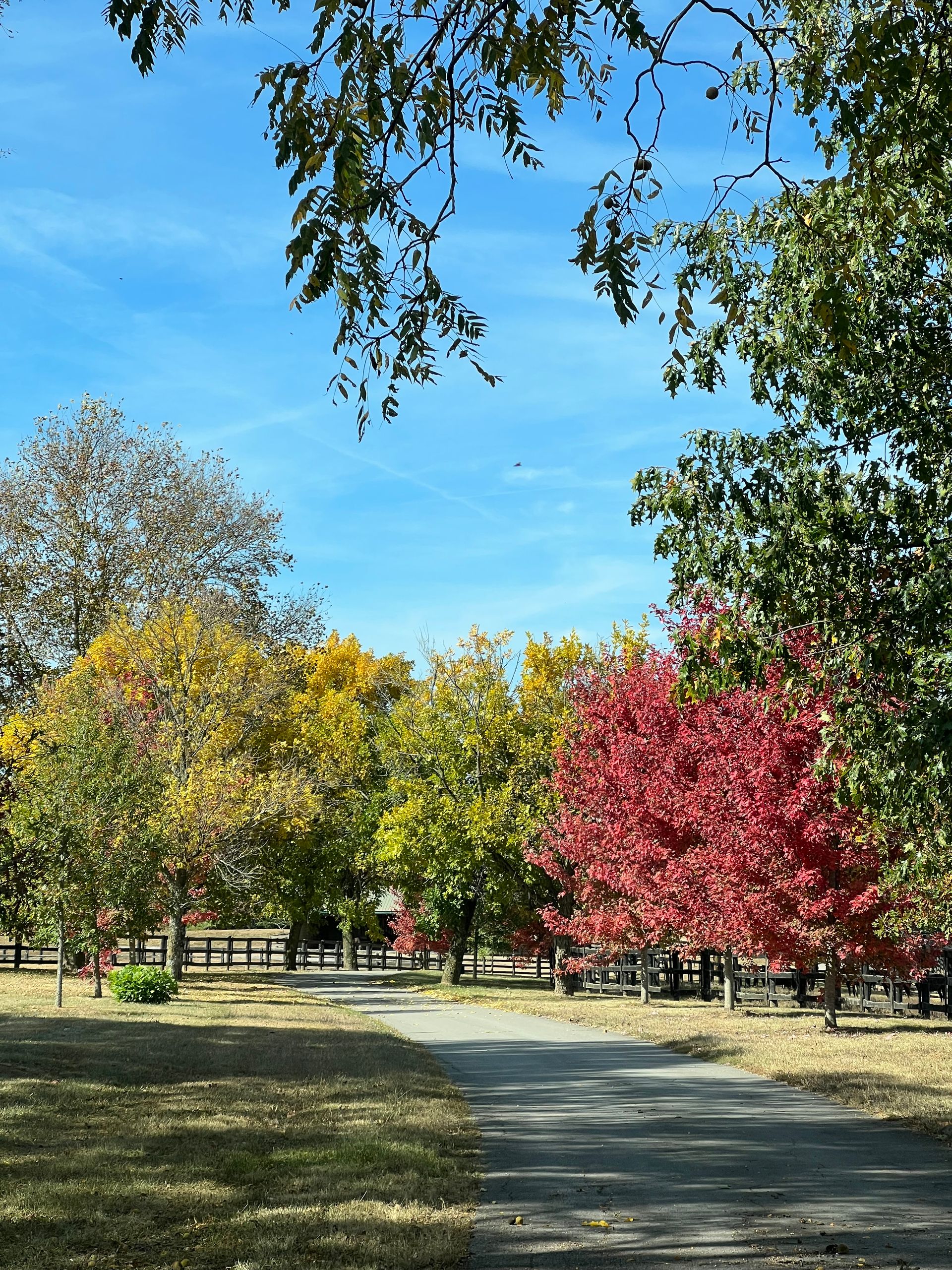 Cane Run Farm Gallery