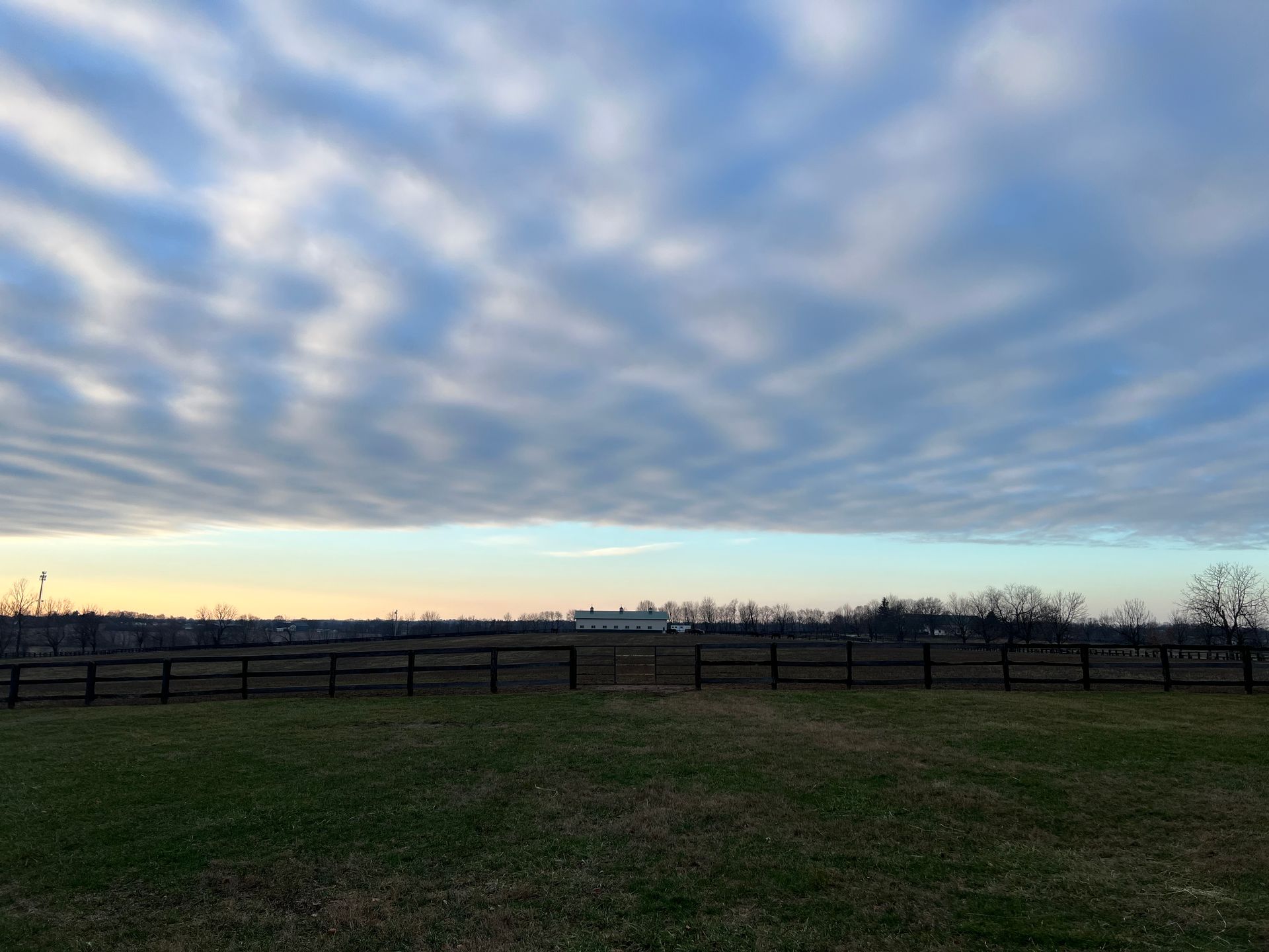 Cane Run Farm Gallery