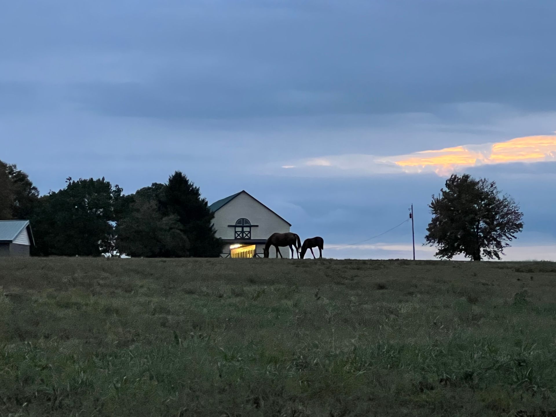 Cane Run Farm Gallery