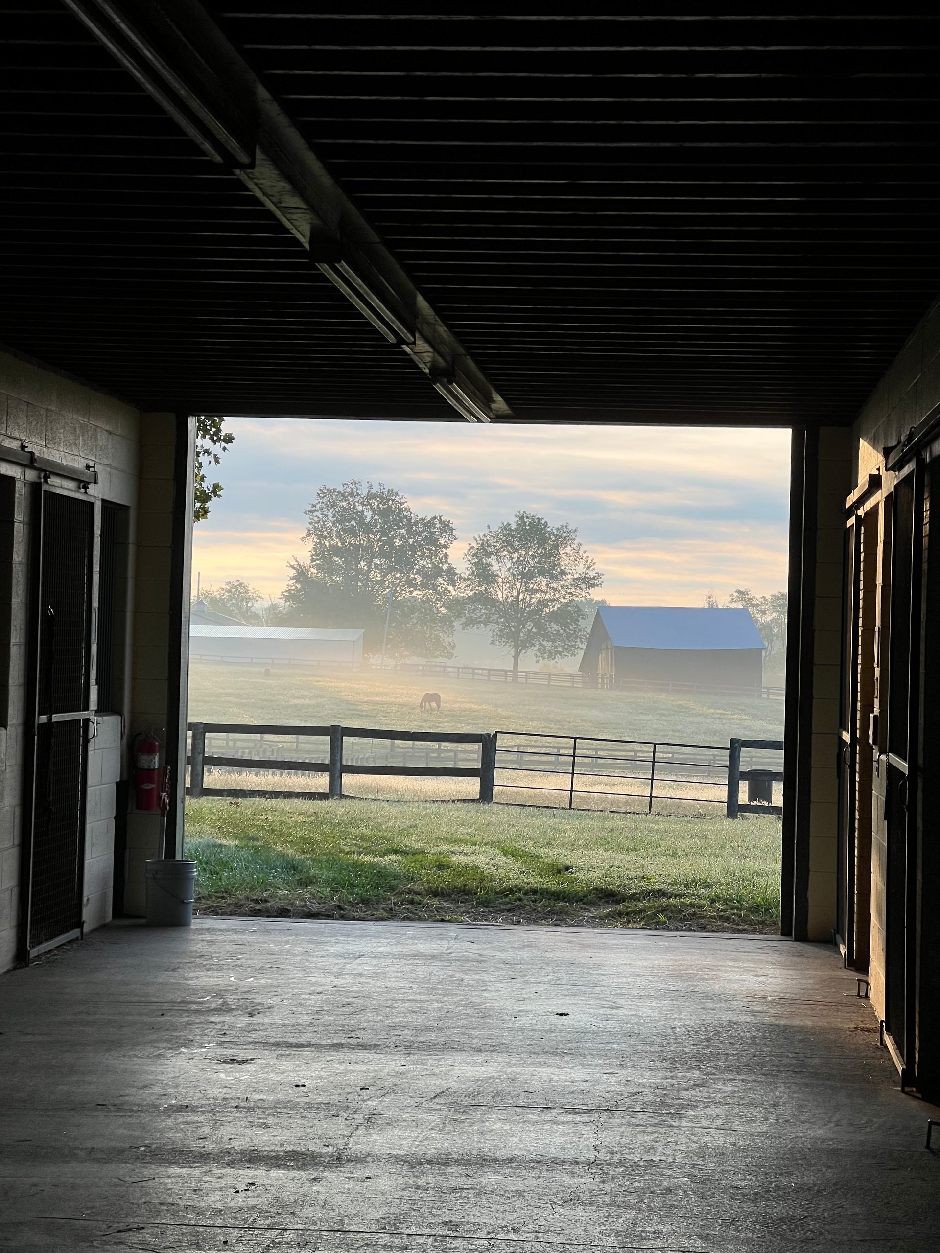Cane Run Farm Gallery