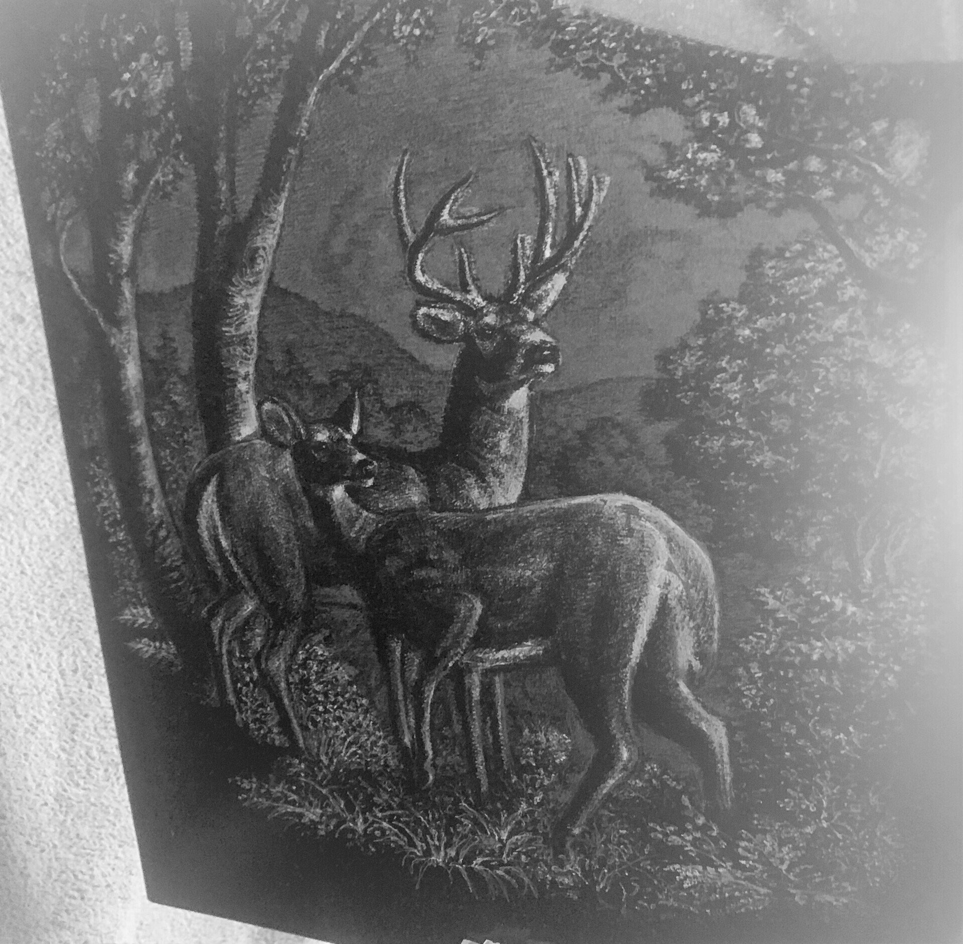 Black Granite Etchings | Champlain Monuments | Vermont