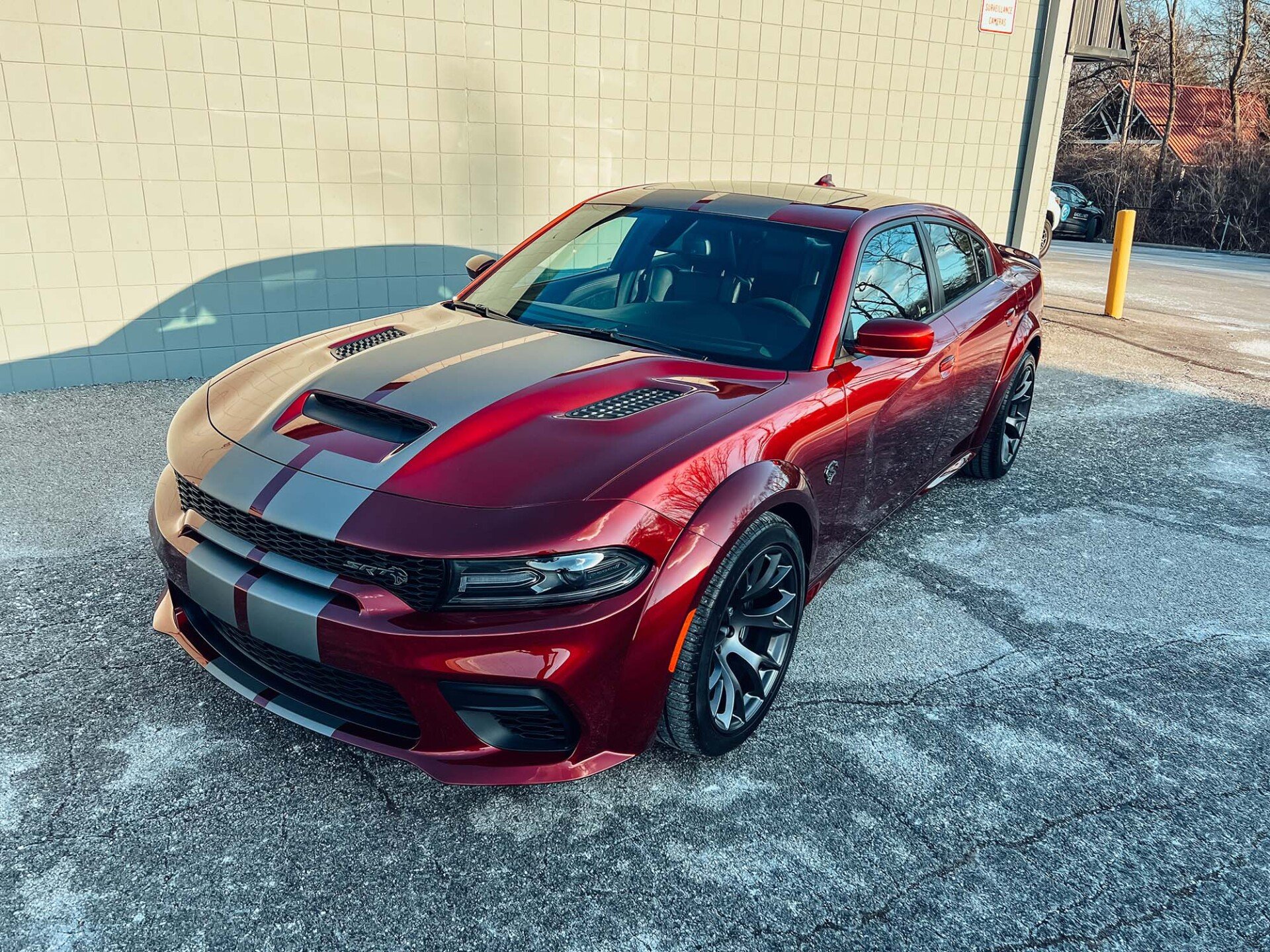 Vinyl & Graphics Services » Glossy