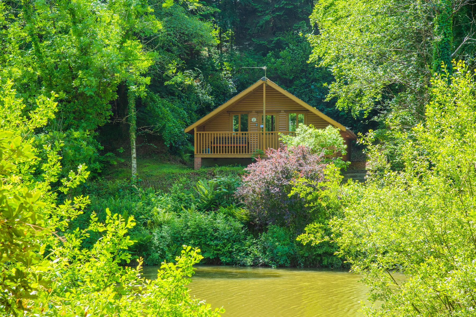 Accommodation at Bulworthy Forest Lodges | North Devon Lodges