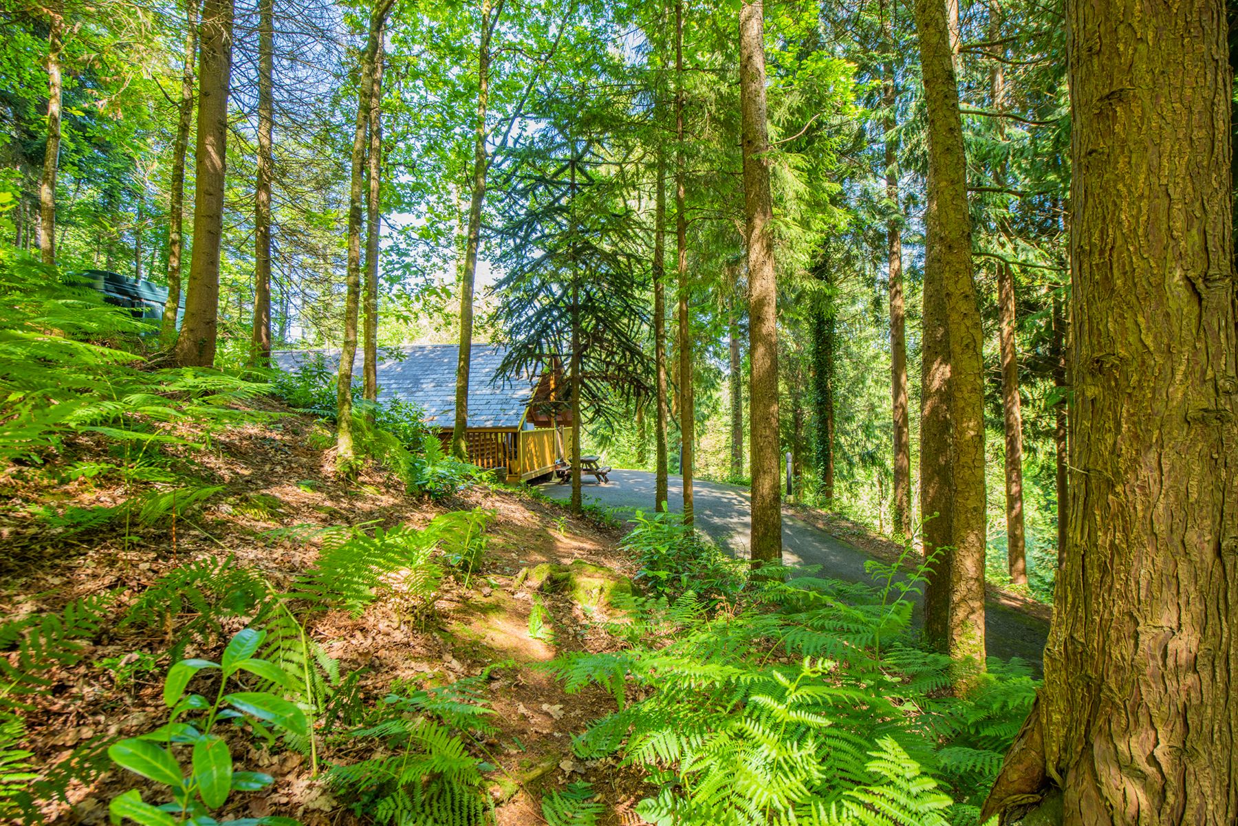 Holiday Inspiration at Bulworthy Forest Lodges | North Devon Retreat