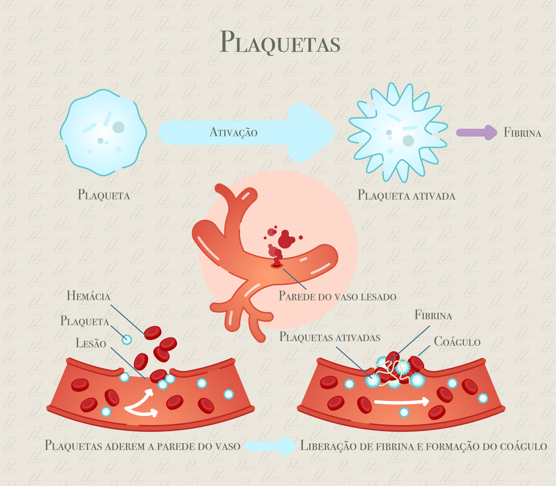 O que é o Plasma Rico em Plaquetas (PRP)? Uma Visão Geral