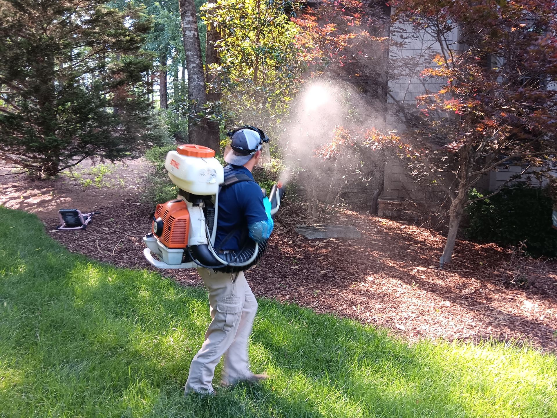 Pest Control | Fort Payne, AL | Furgerson Pest Control LLC