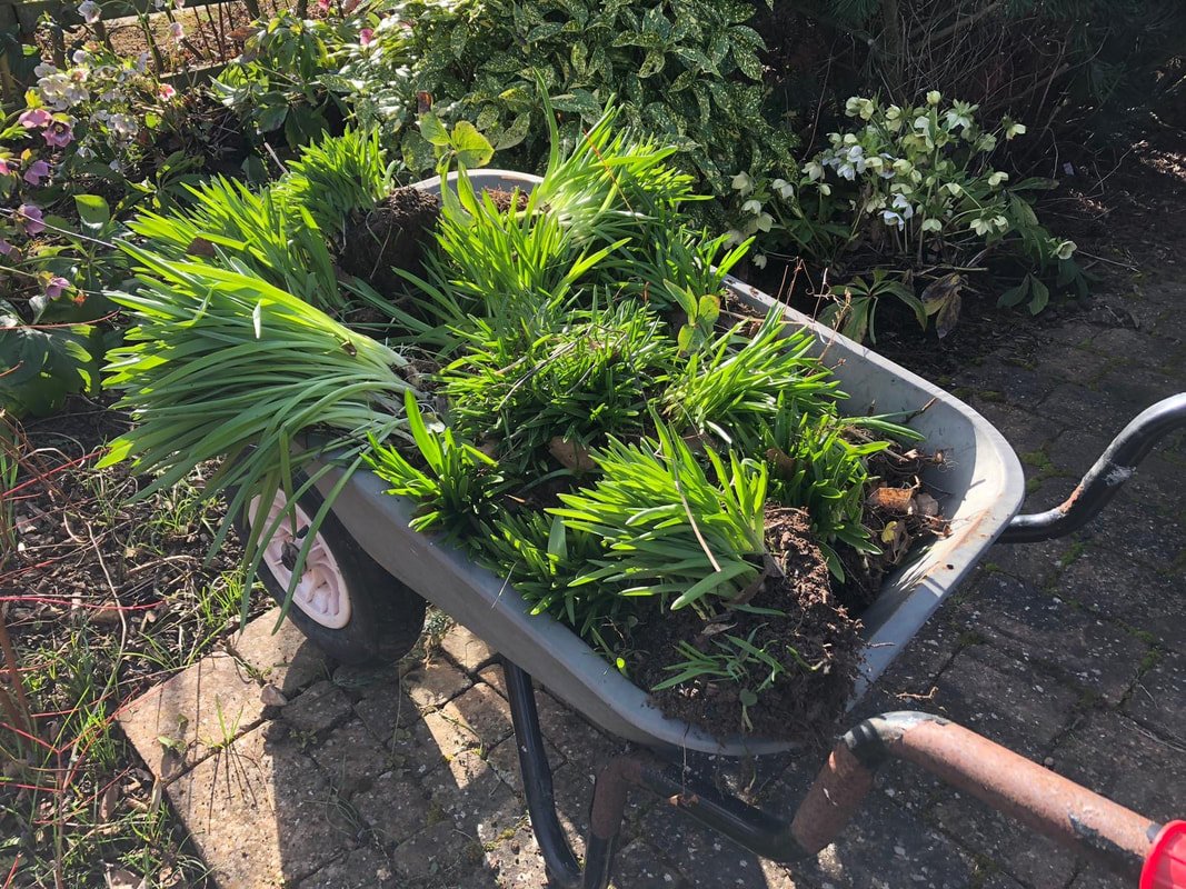 Planting Nottingham | Tree and Planting Scheme Service