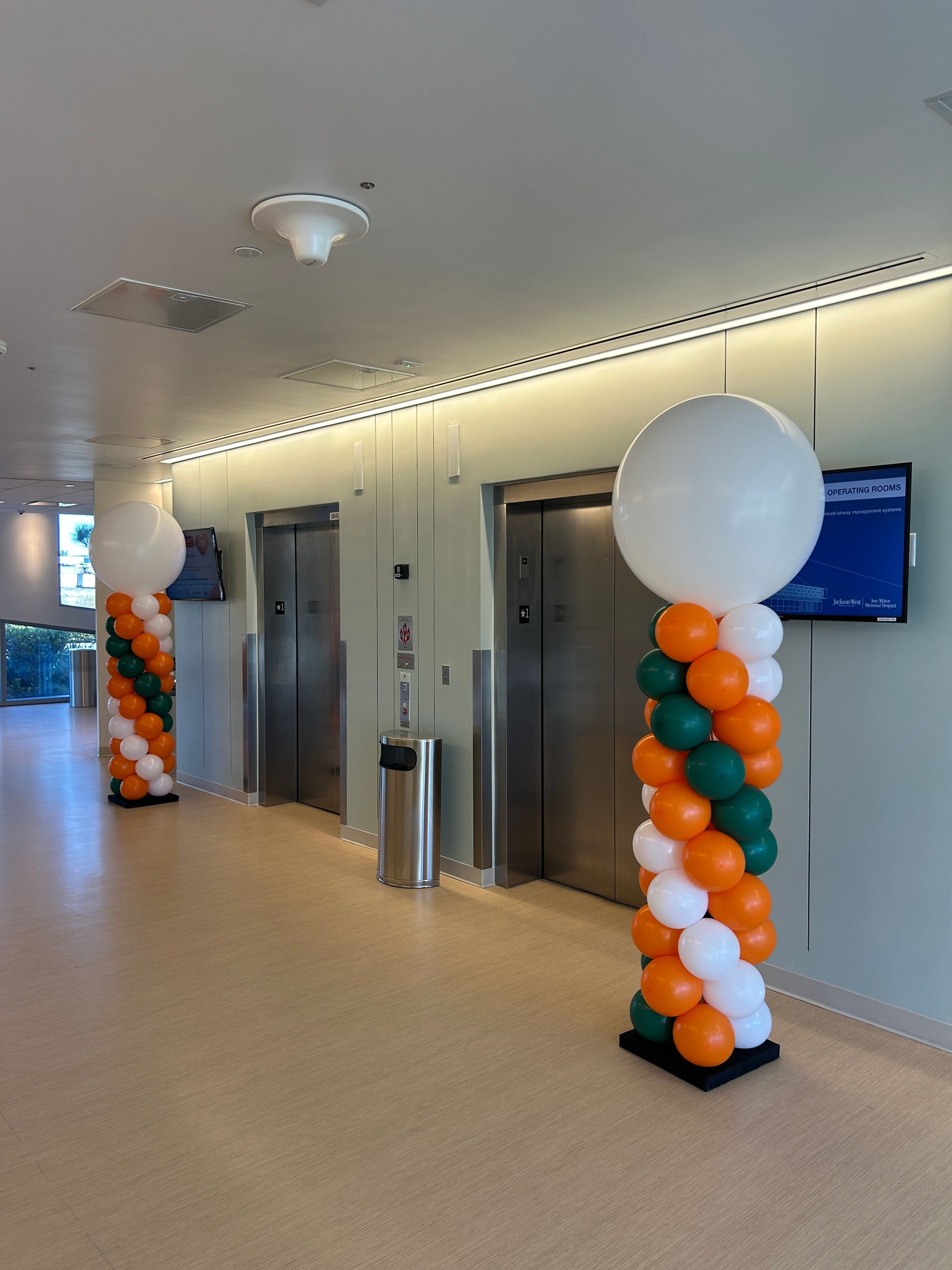 Universities | Balloon Element | Miami, FL