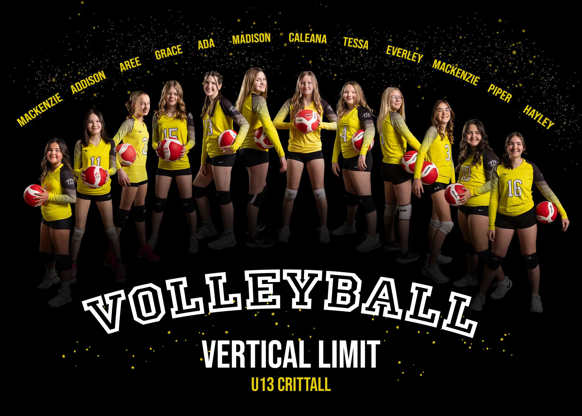 Vertical Limit Volleyball Club