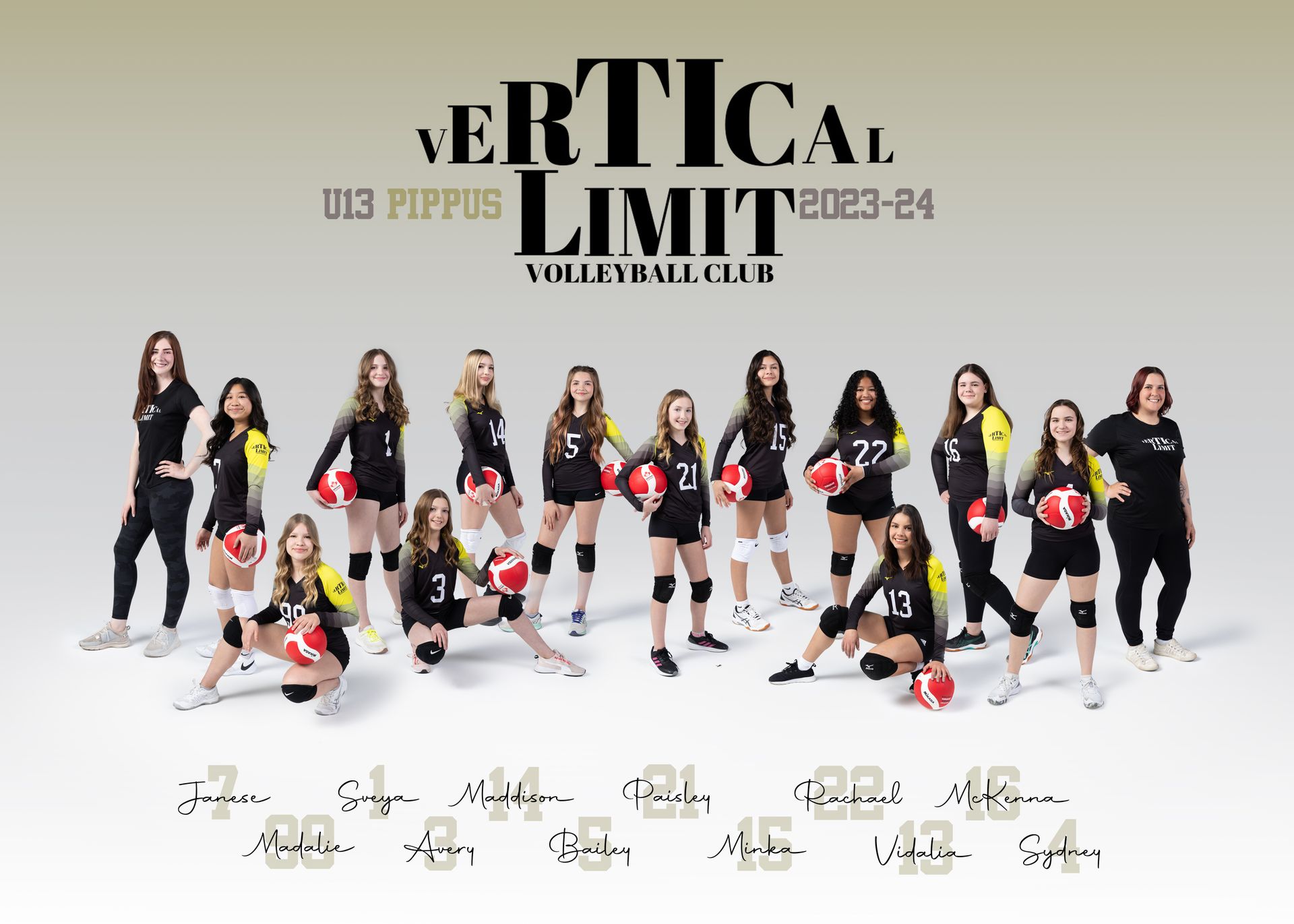 Vertical Limit Volleyball Club