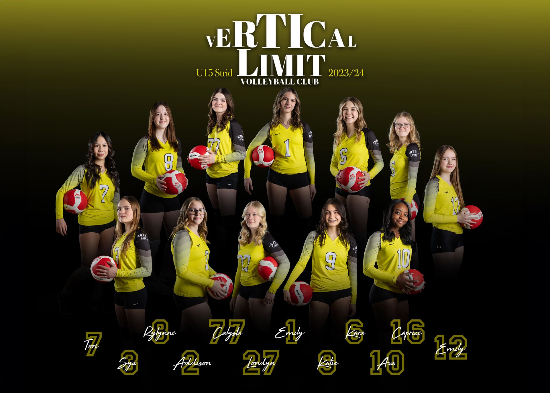 Vertical Limit Volleyball Club