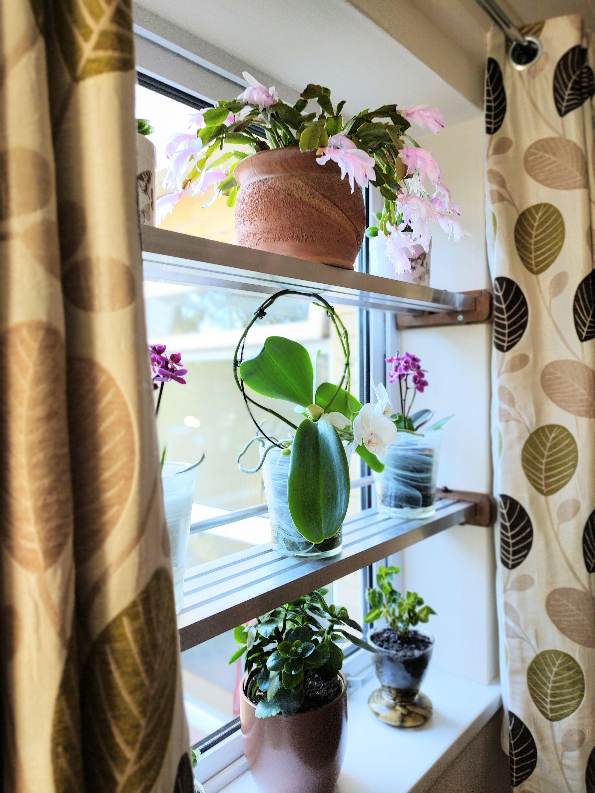 Window Display Feature | Enhance Your View | WINDOWSHELF