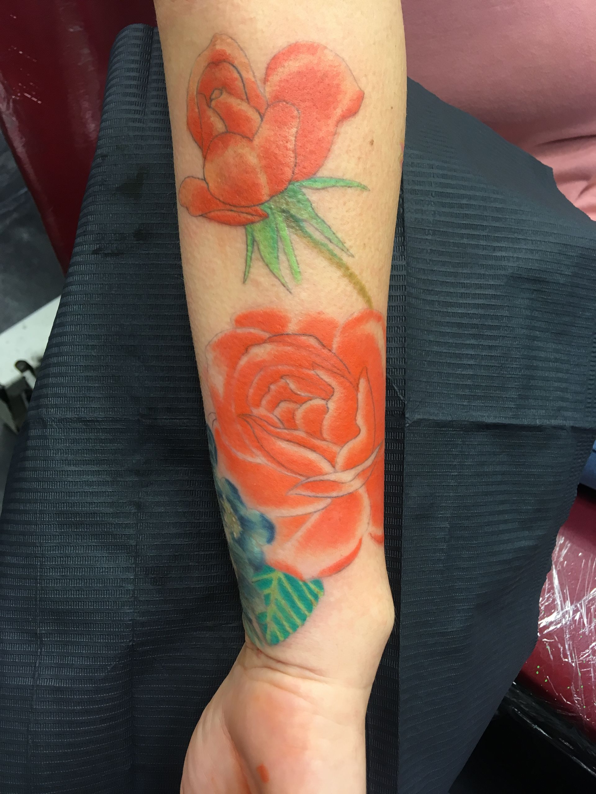 Warren Coates | Avinit Tattoo Studio