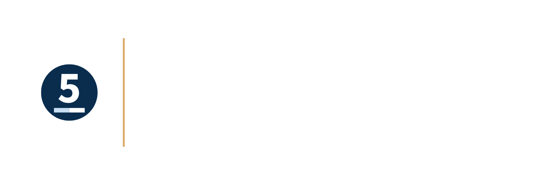 Five Score Partners, LLC