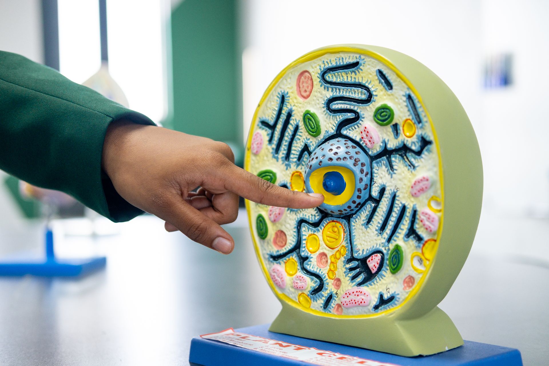 Pinnacle College Ridgeview | Private School in Roodepoort