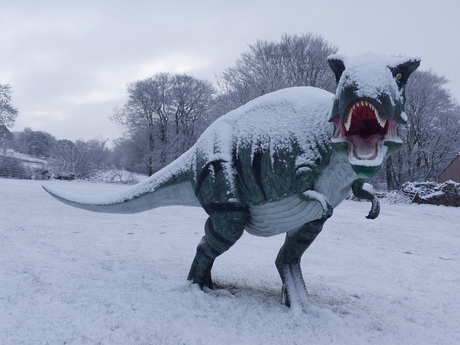 Life Size Models | Gallery