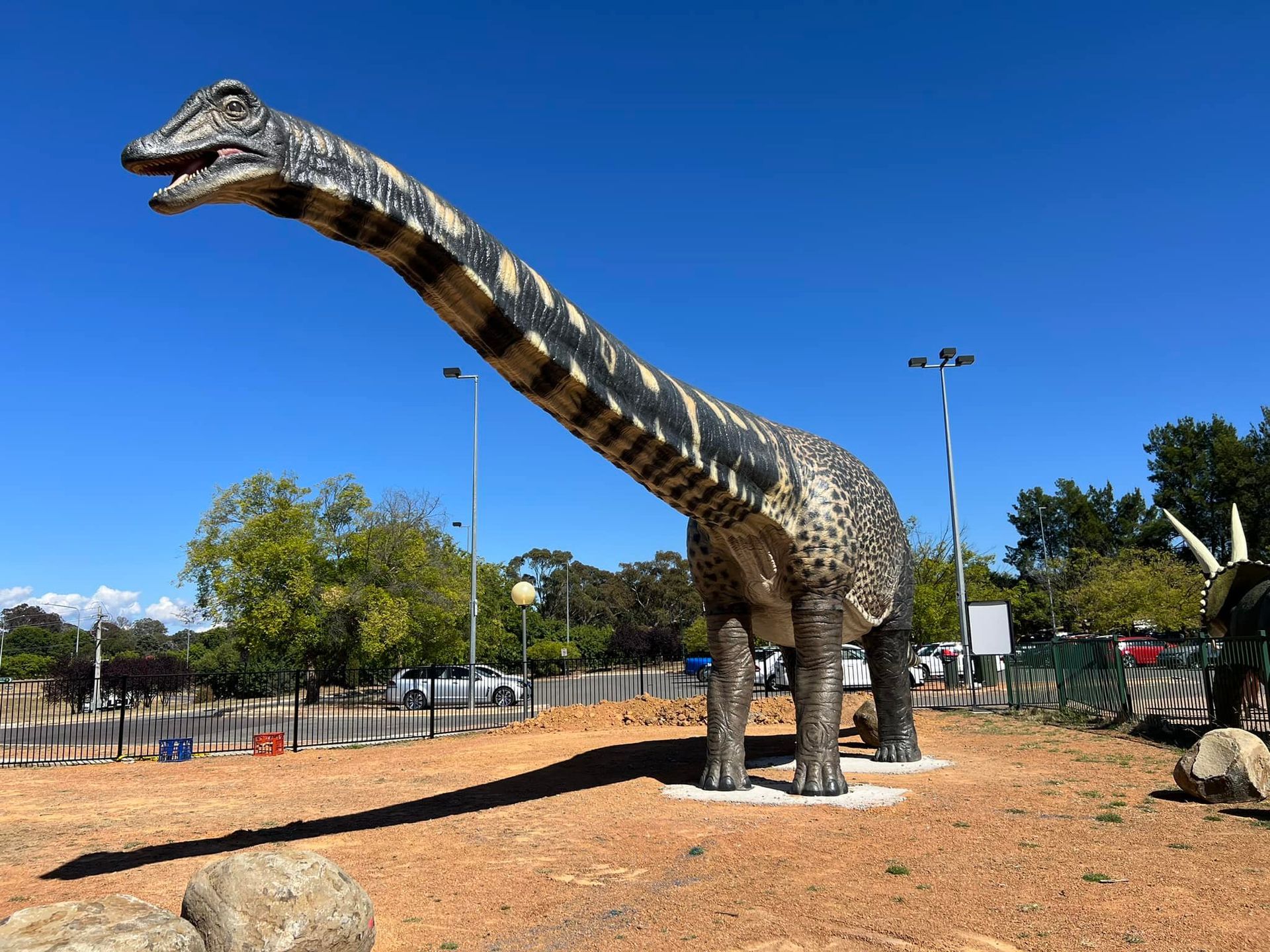 Life Size Models | Gallery