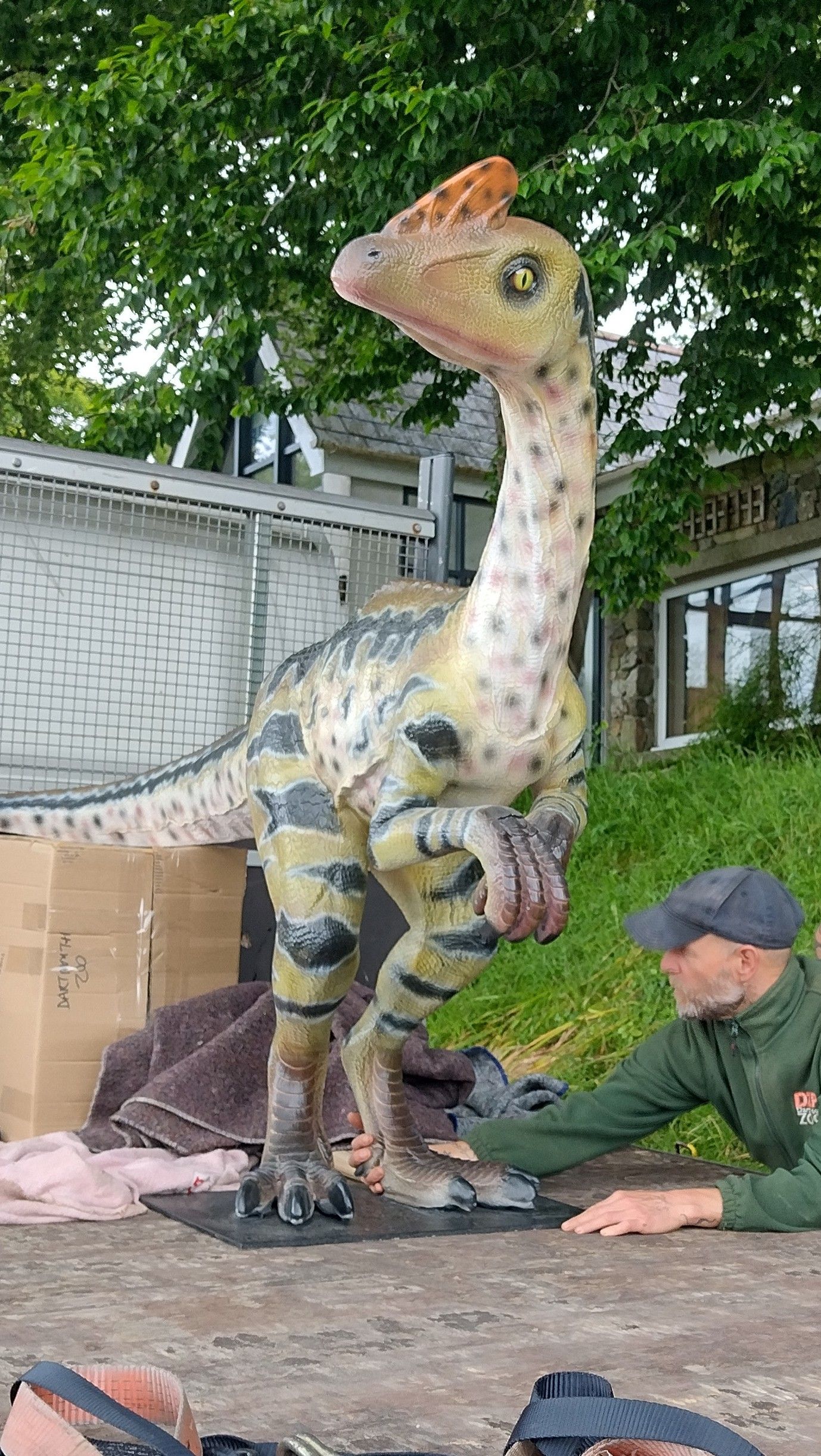 Life Size Models | Gallery