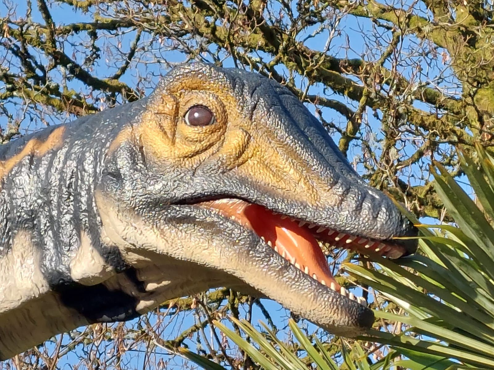 Life Size Models | Gallery