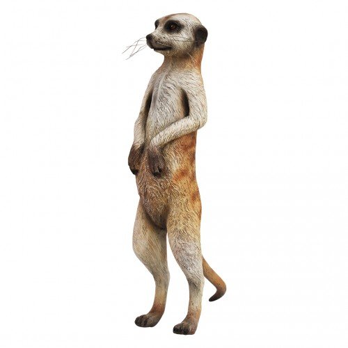 Life Size Models | Home