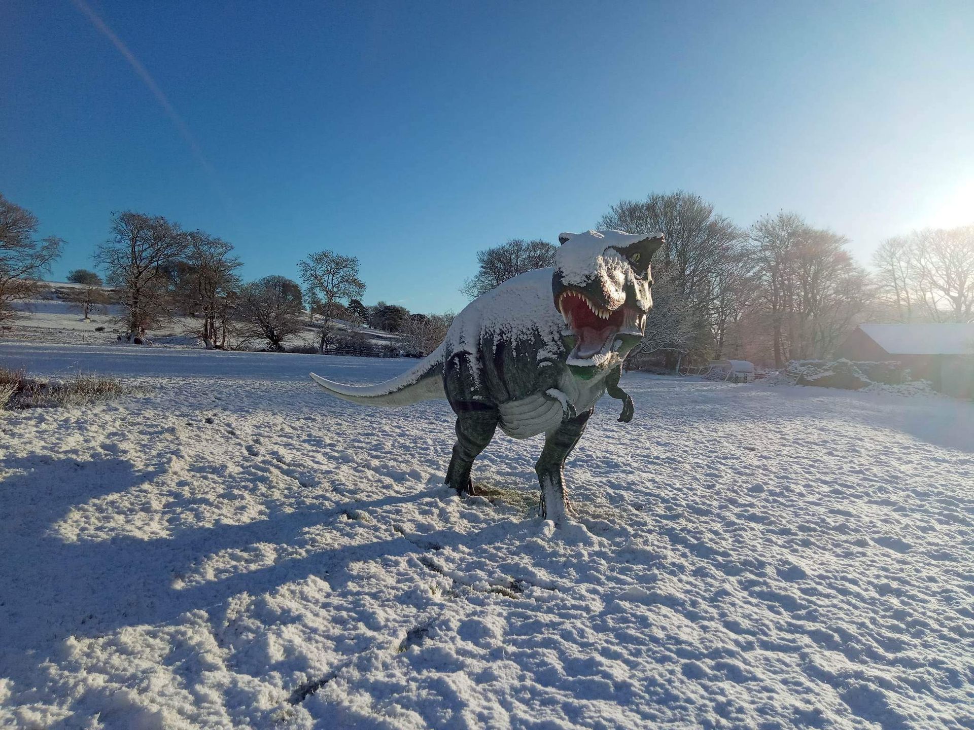 Life Size Models | Gallery