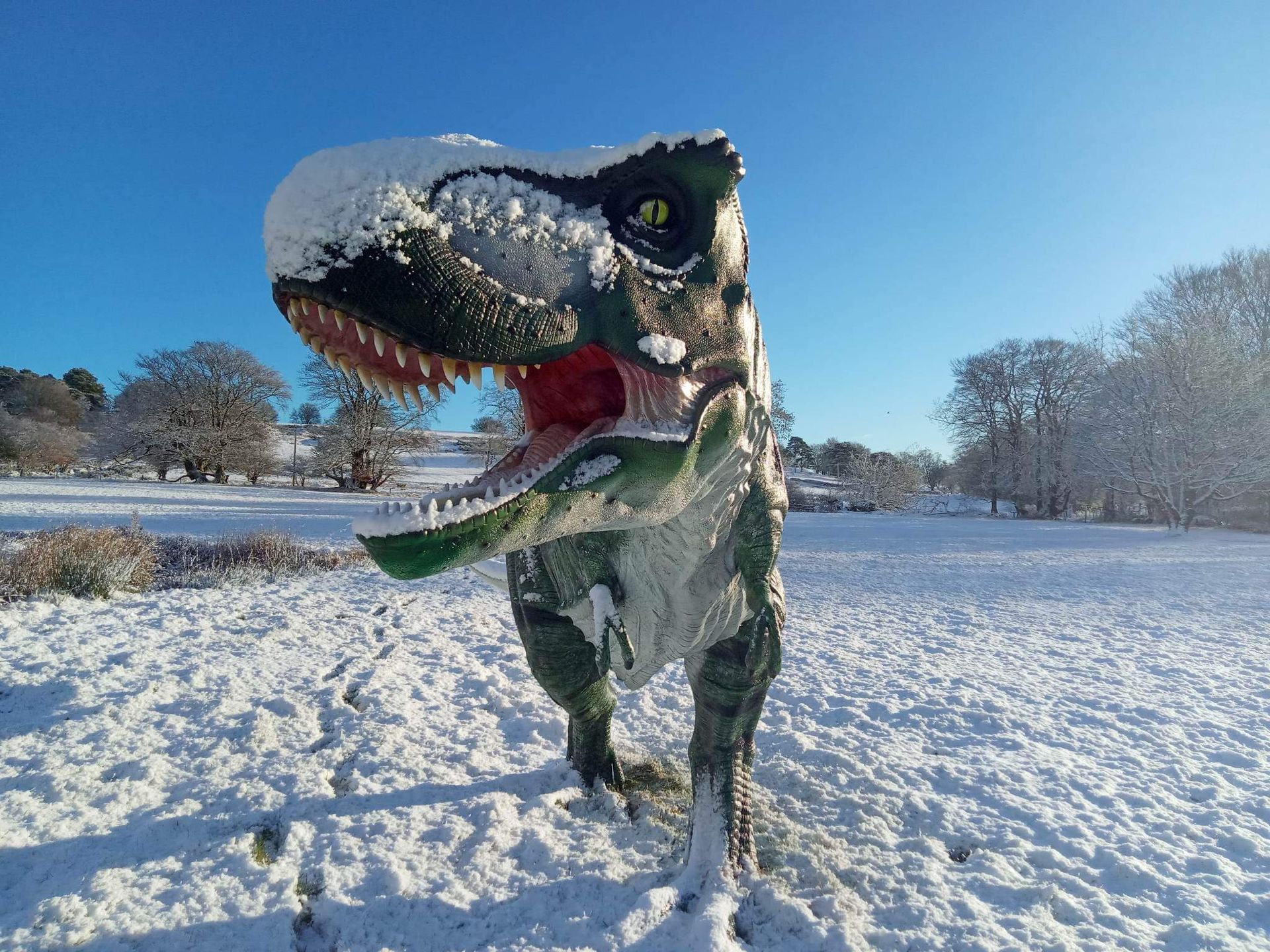 Life Size Models | Home