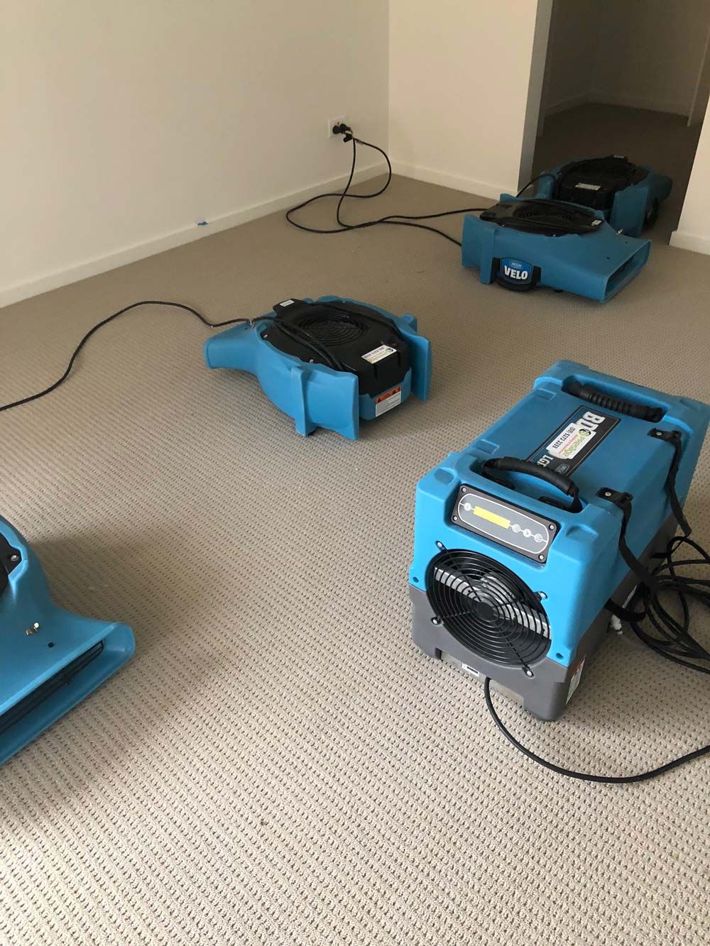 Gallery | Geelong, VIC | Scientific Mould Experts