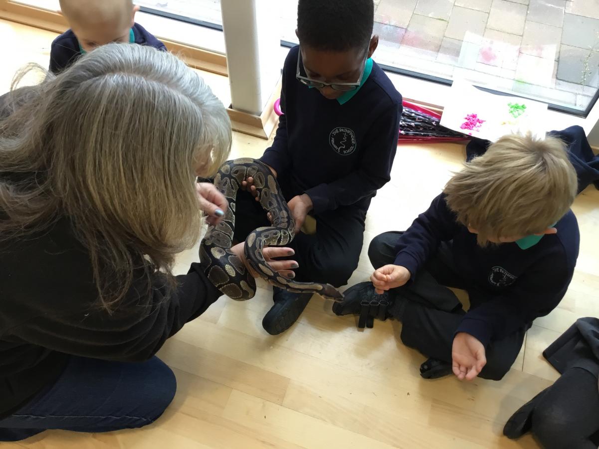 Discover Excellence at Pathfinder Primary School