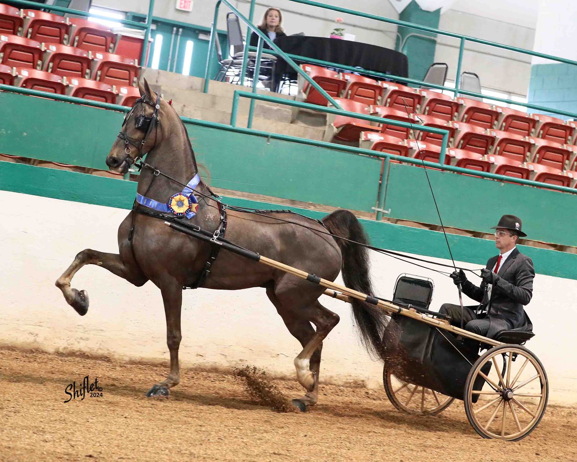 Horse Show Competitions • New England • Cater Stables