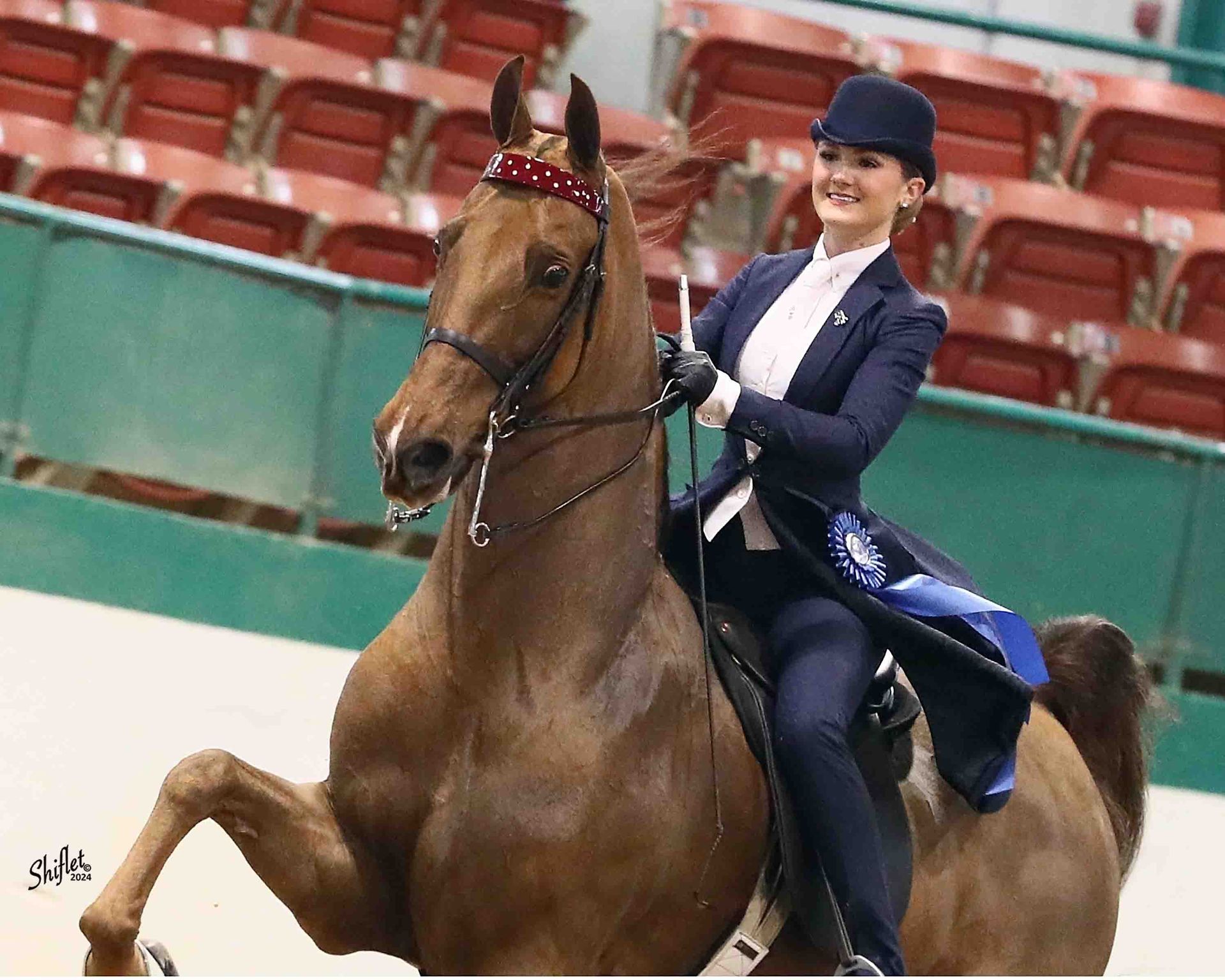 Horse Show Competitions • New England • Cater Stables