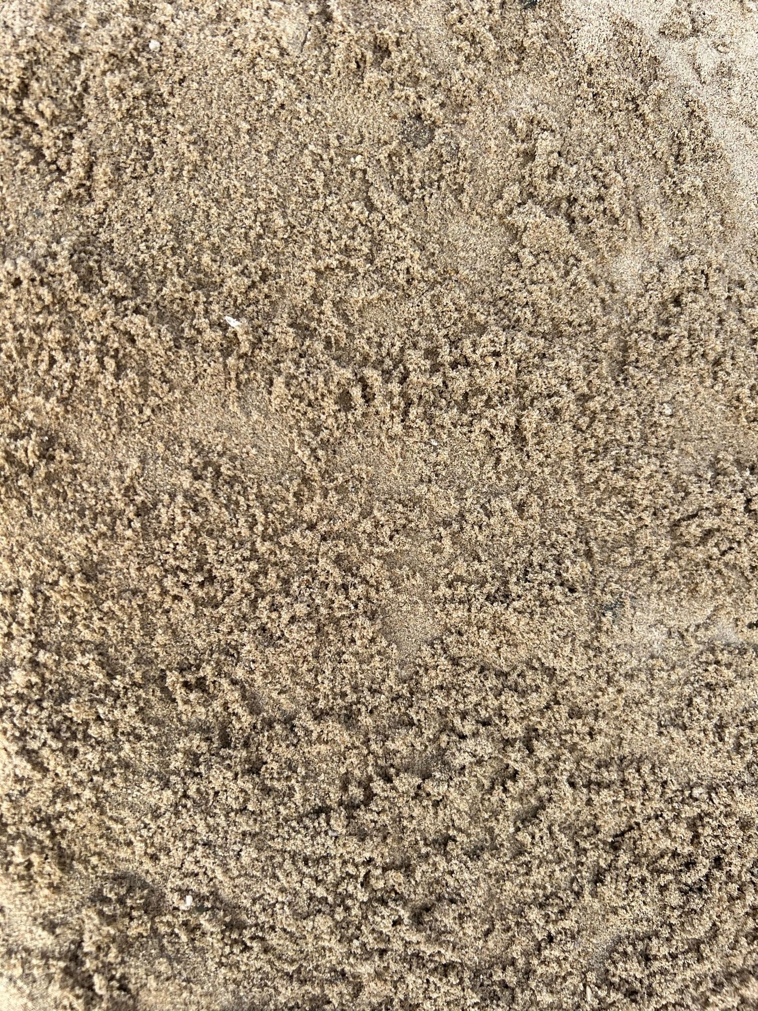 Sand in Mullumbimby | Wards Landscape Supplies