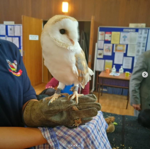 St Albans Mencap