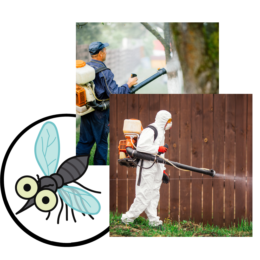 Bug Off Pest Pros Is Muncie's #1 Pest Control Company