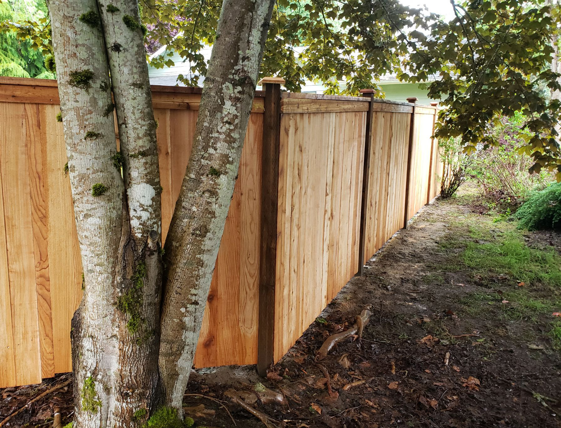 Fencing Pros | Snohomish, WA | Essential Fence Center