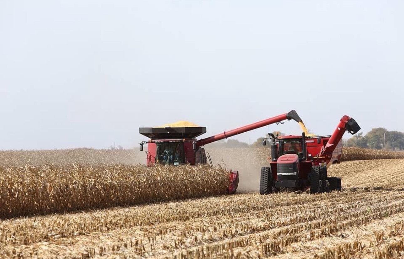 Case IH Concave, Harvester Concave | Paton, Jefferson, IA | Bauer Built ...