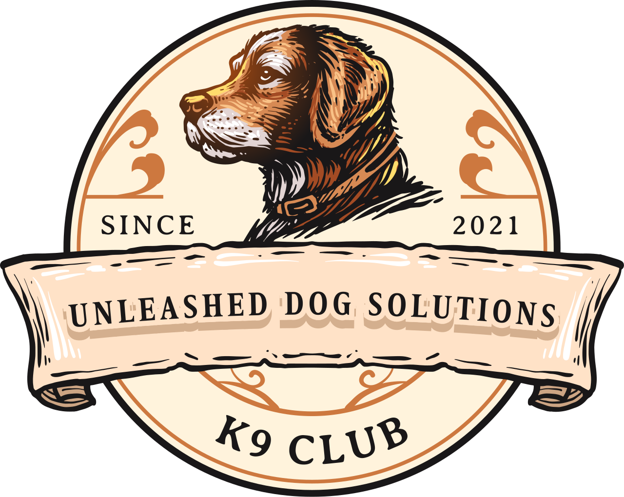 Dog Day Camp, Boarding and Training | West Milford, NJ