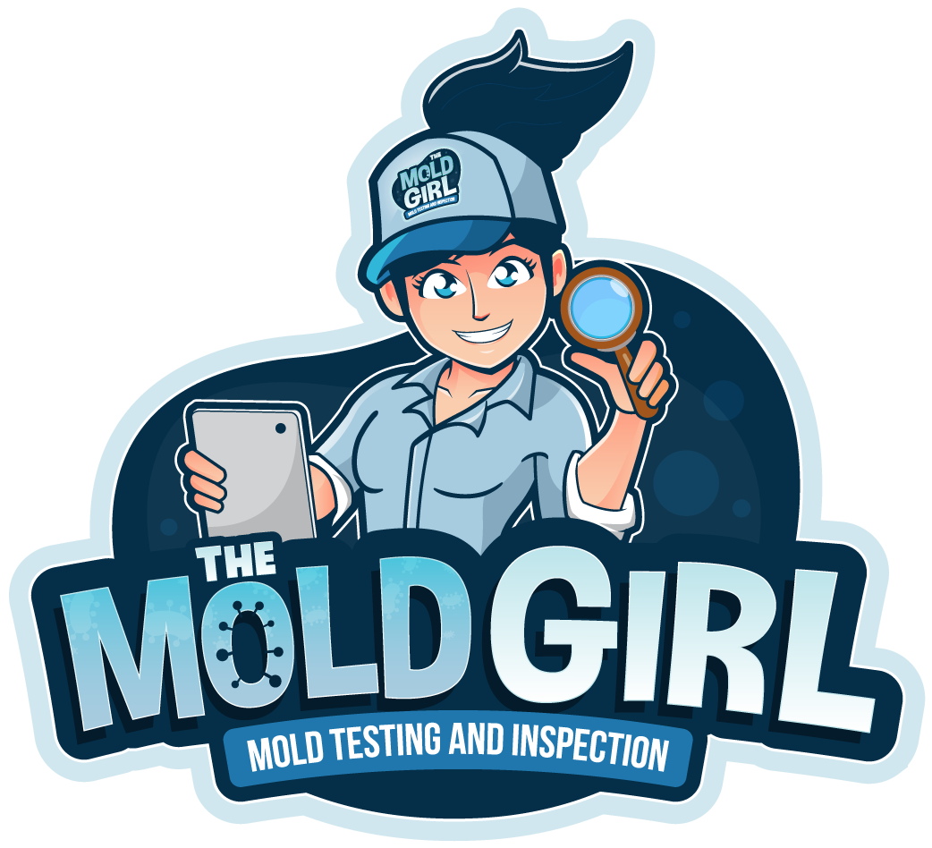 Charlotte Mold Testing, Inspection, and Remediation | The Mold Girl of ...