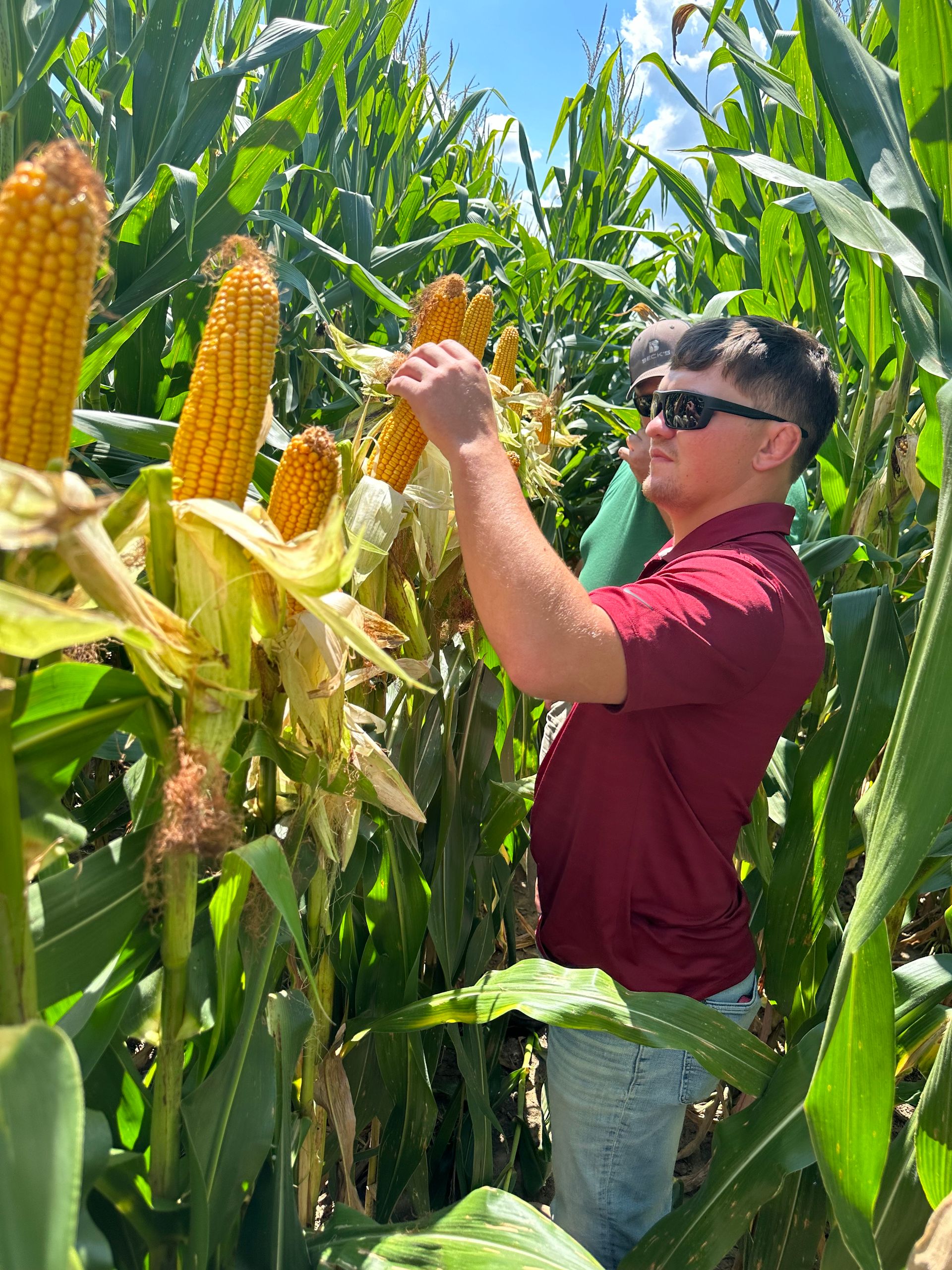 Tri-Ag | Independent Agronomy & Crop Solutions