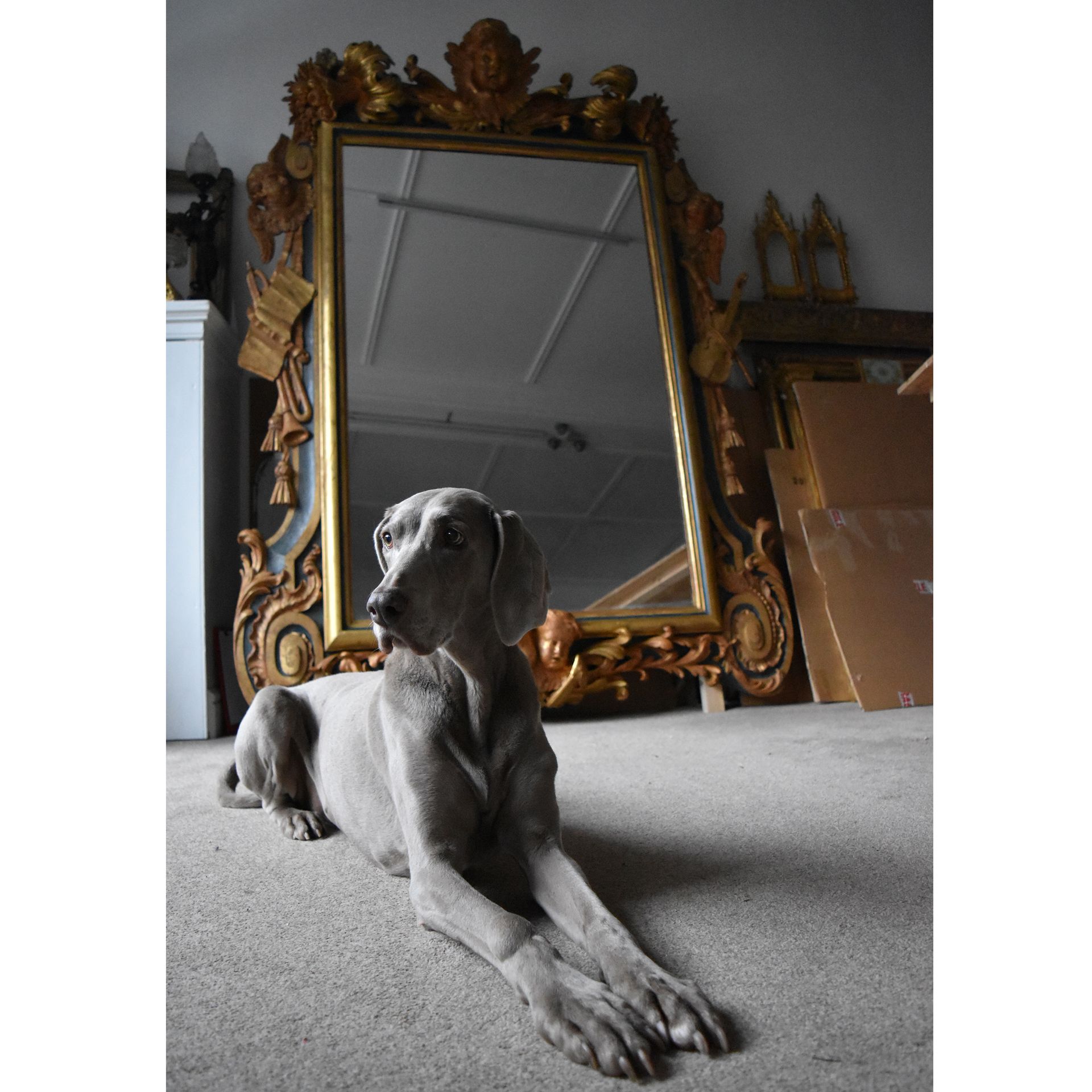 Ruth Tappin, restorer of gilded antiques.