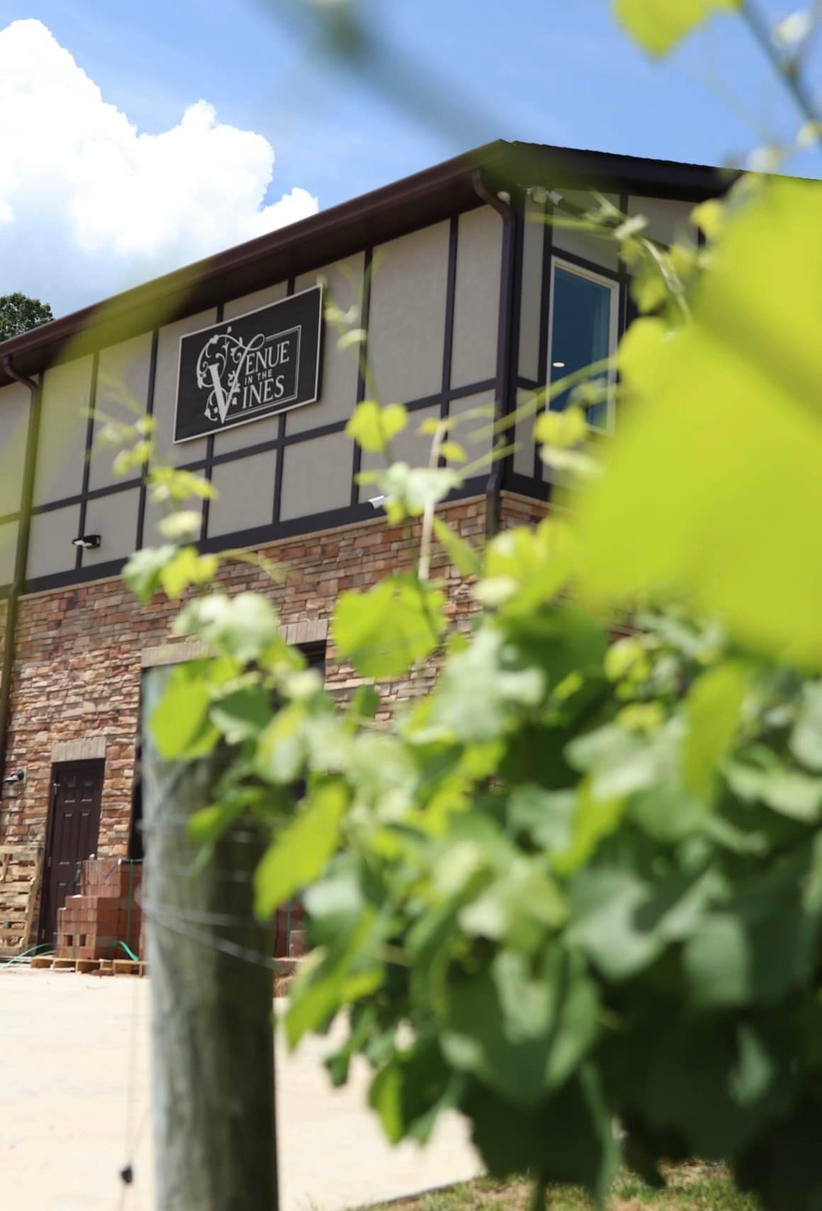 Stunning Gallery | The Venue In The Vines | Georgia